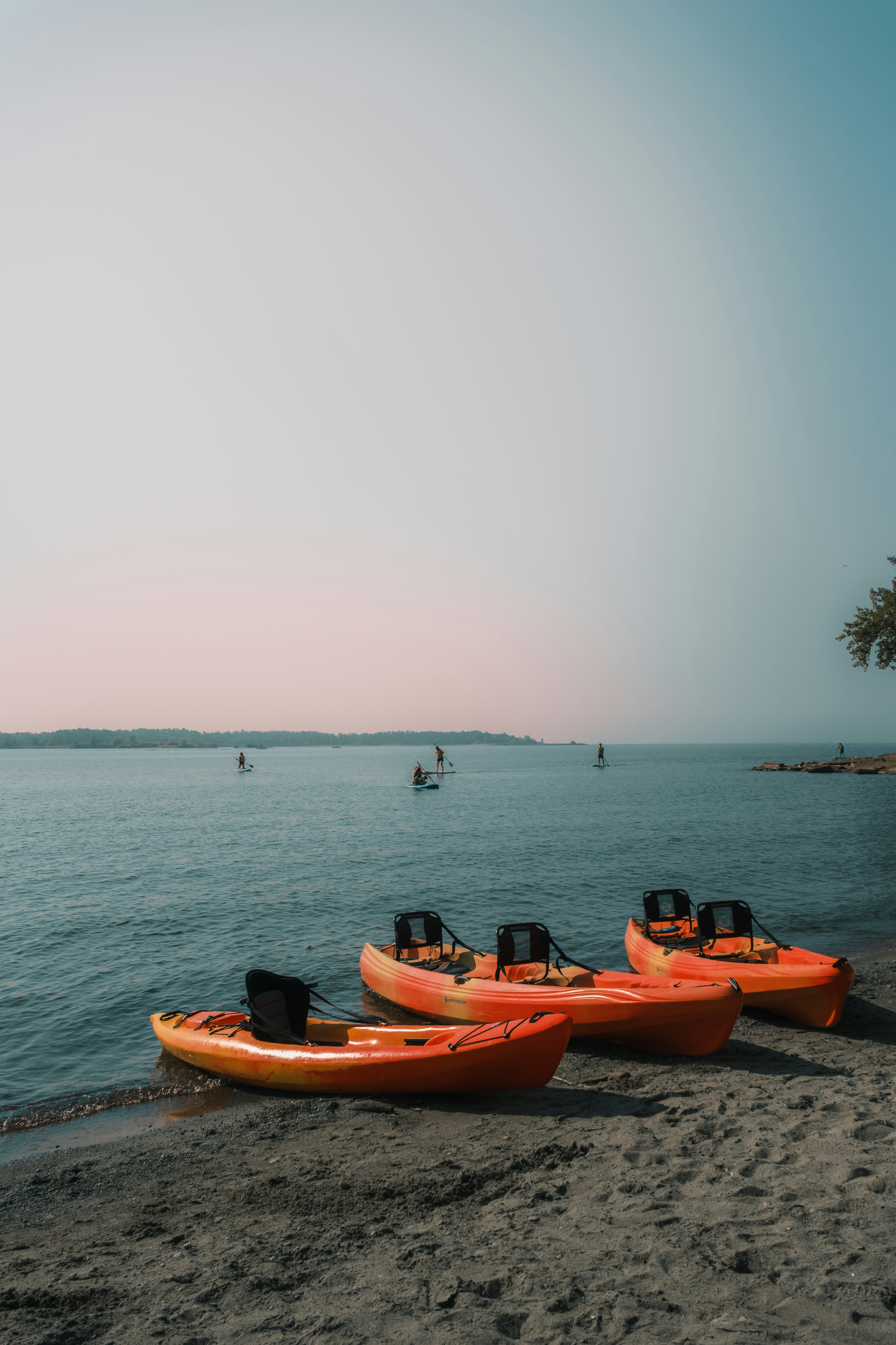 A couple of kayaks sitting on top of a sandy beach photo – Free Nature ...