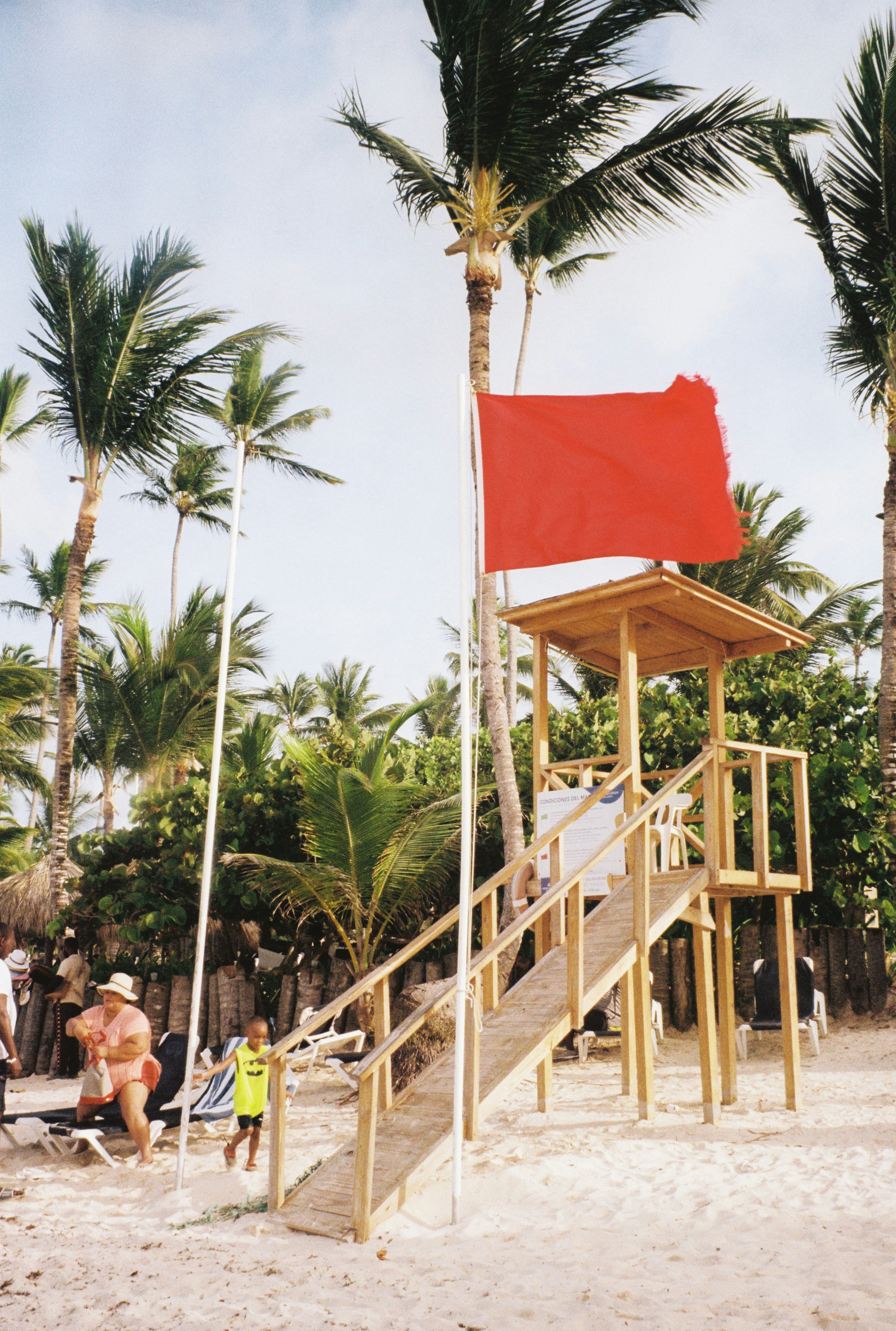 Scarlet Flag Over the Lifeguard Stand on a Palm-Dusted Beach