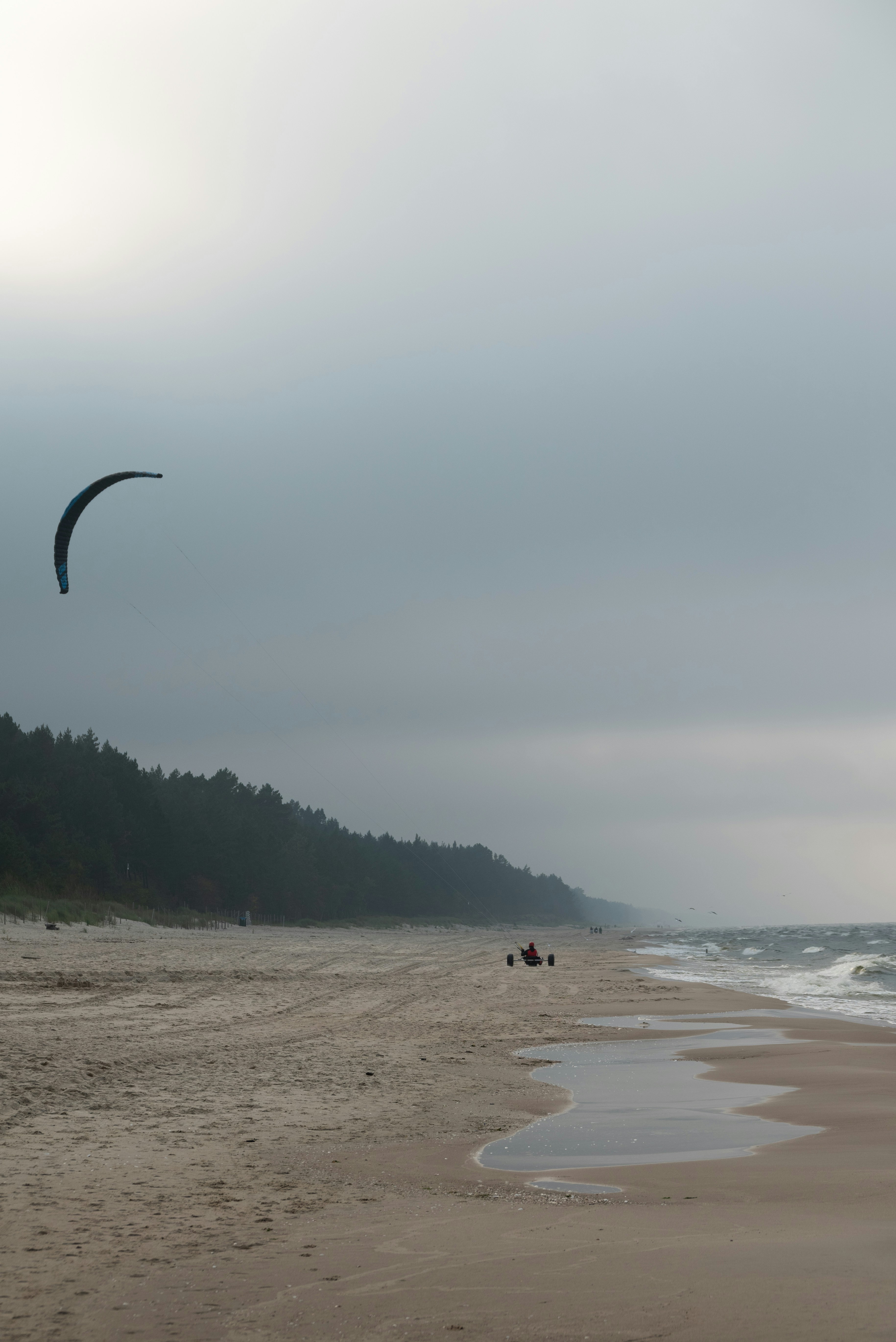 Arc in the Gray: a lone kite glides above a windswept North Sea beach