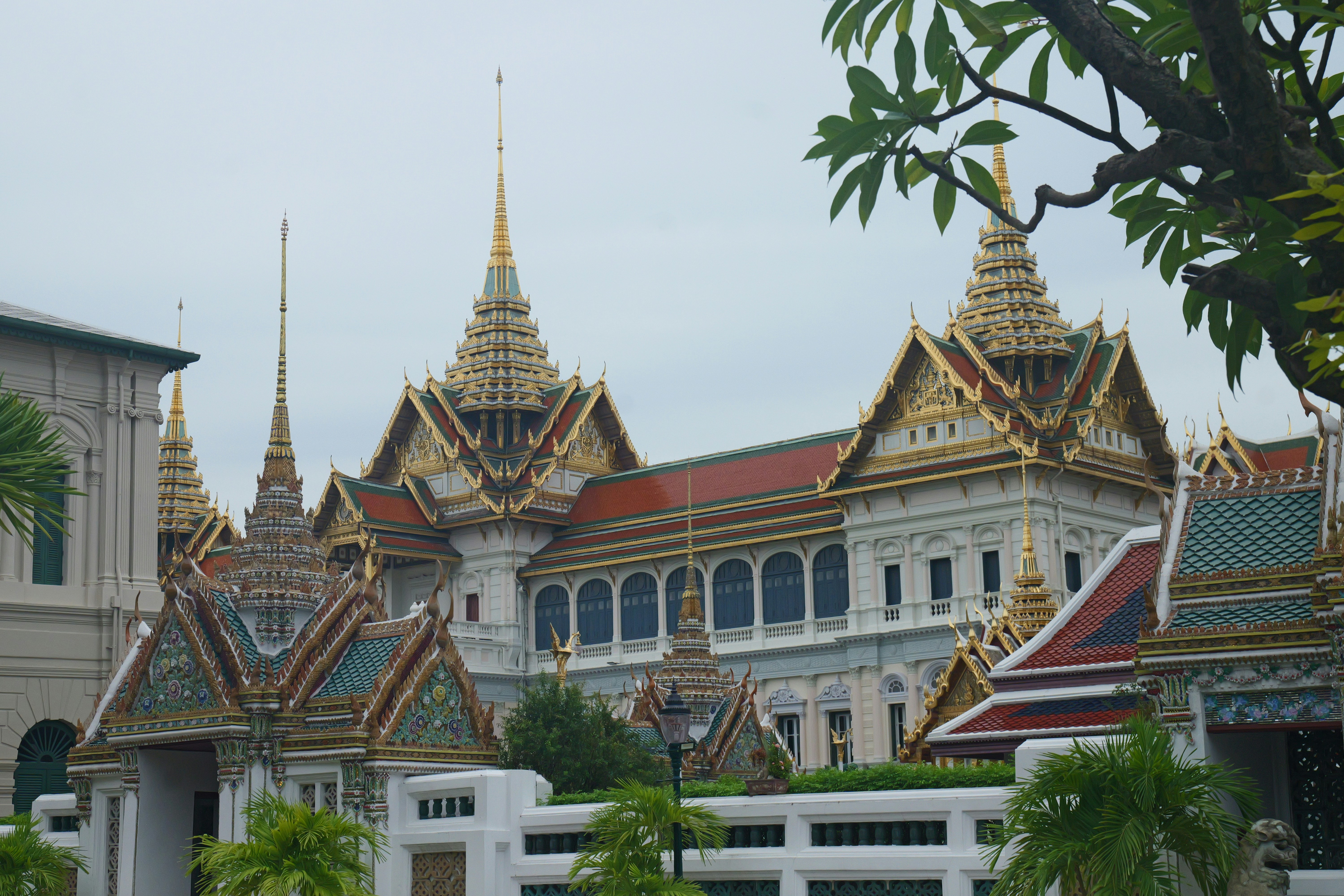 Photo by Yejiang Yang with Panasonic Lumix S5 II