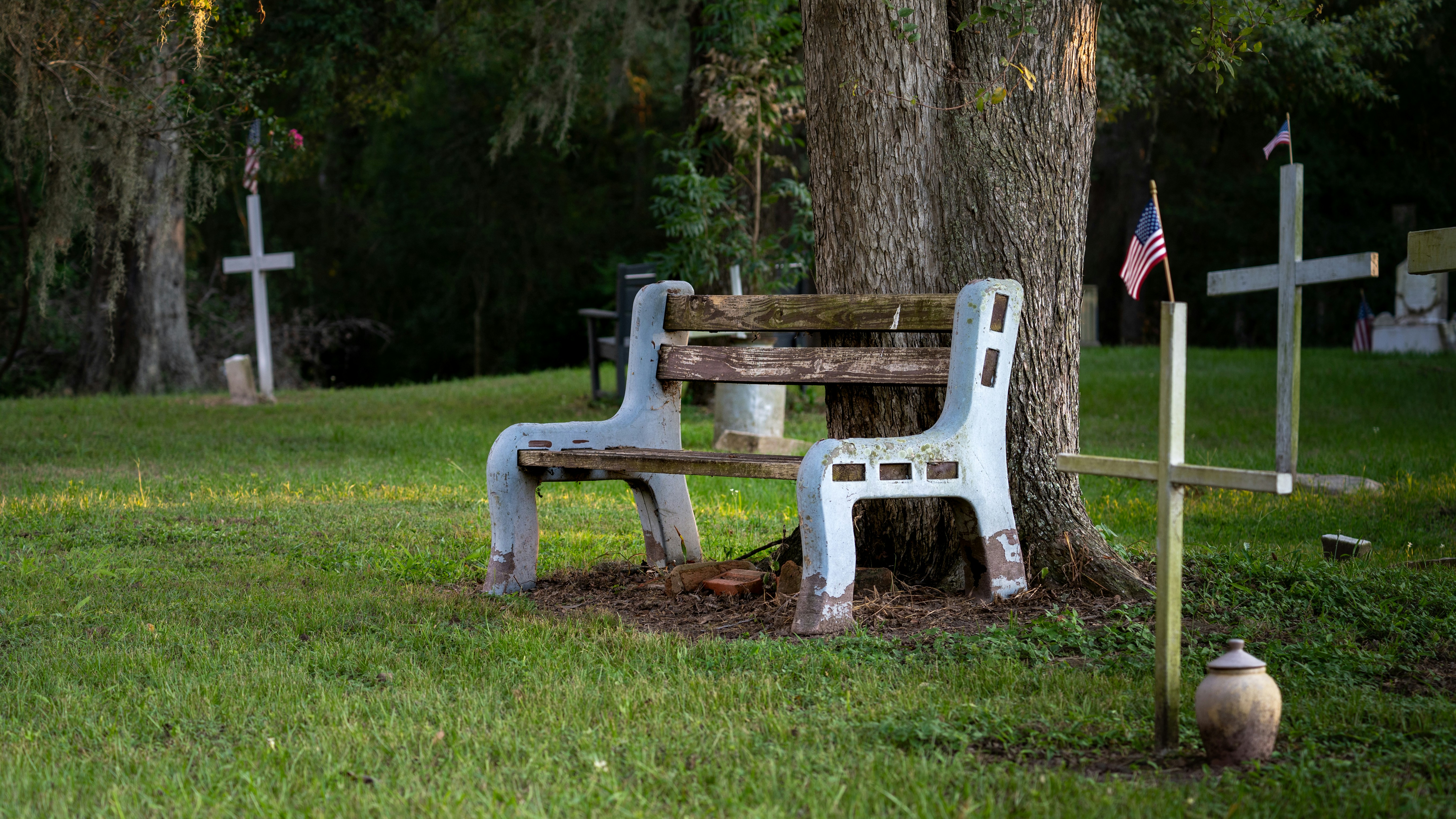 Quiet Memorial Bench: Sunlit Clearing Among Crosses
