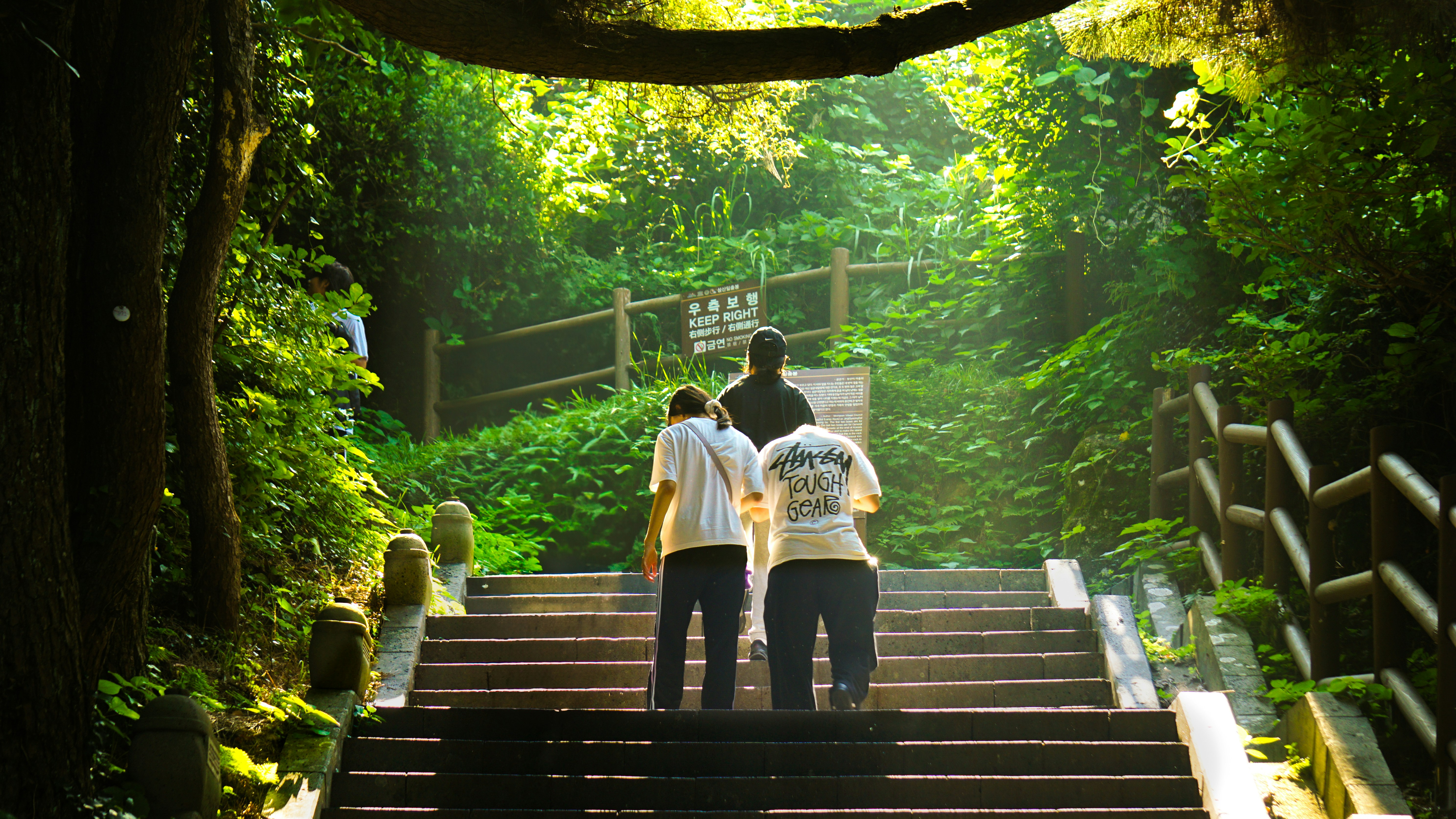 Photo by HorseRat with Sony Alpha 5100