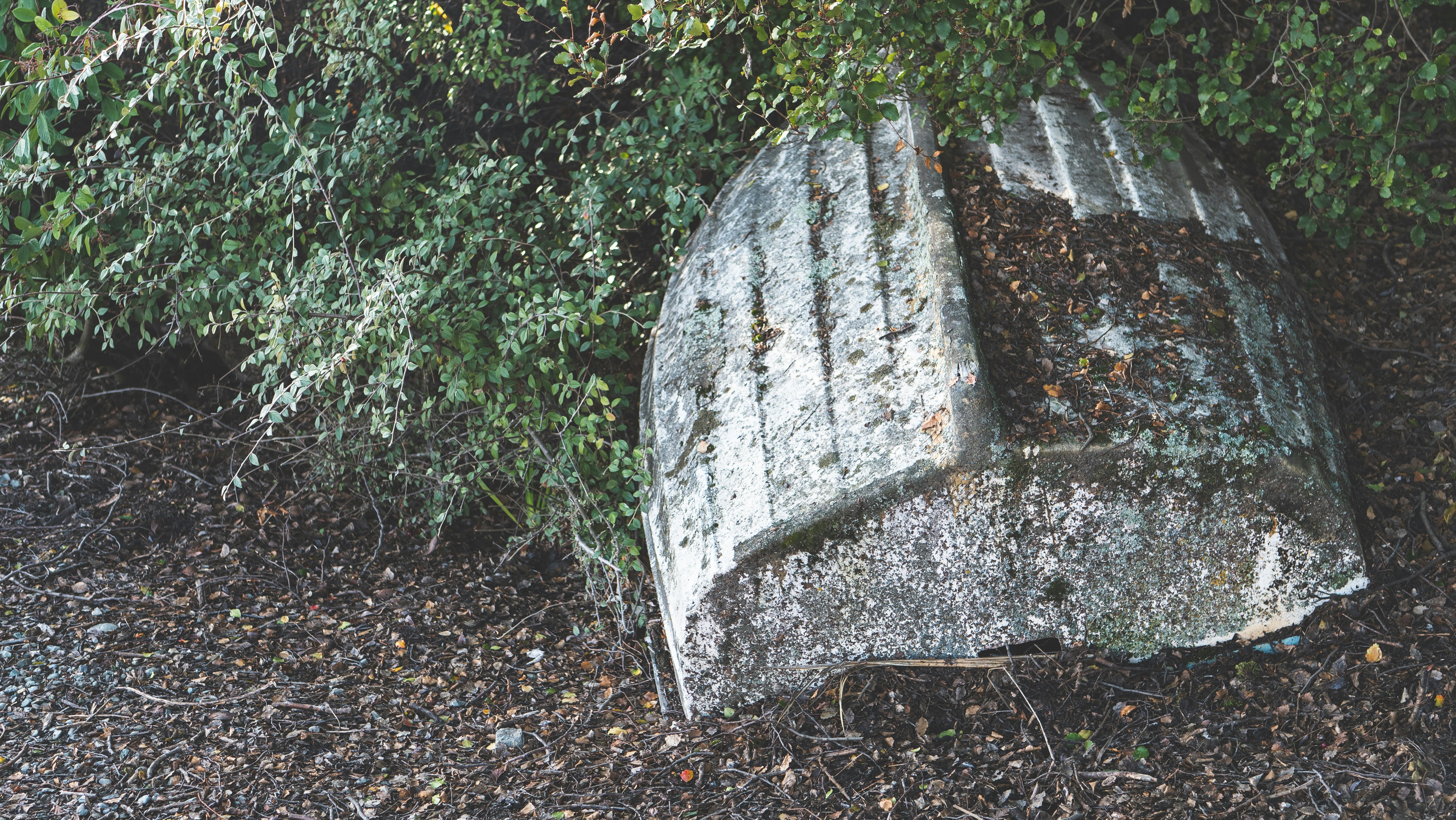 Grooved Concrete Relic on a Leaf-Littered Forest Floor