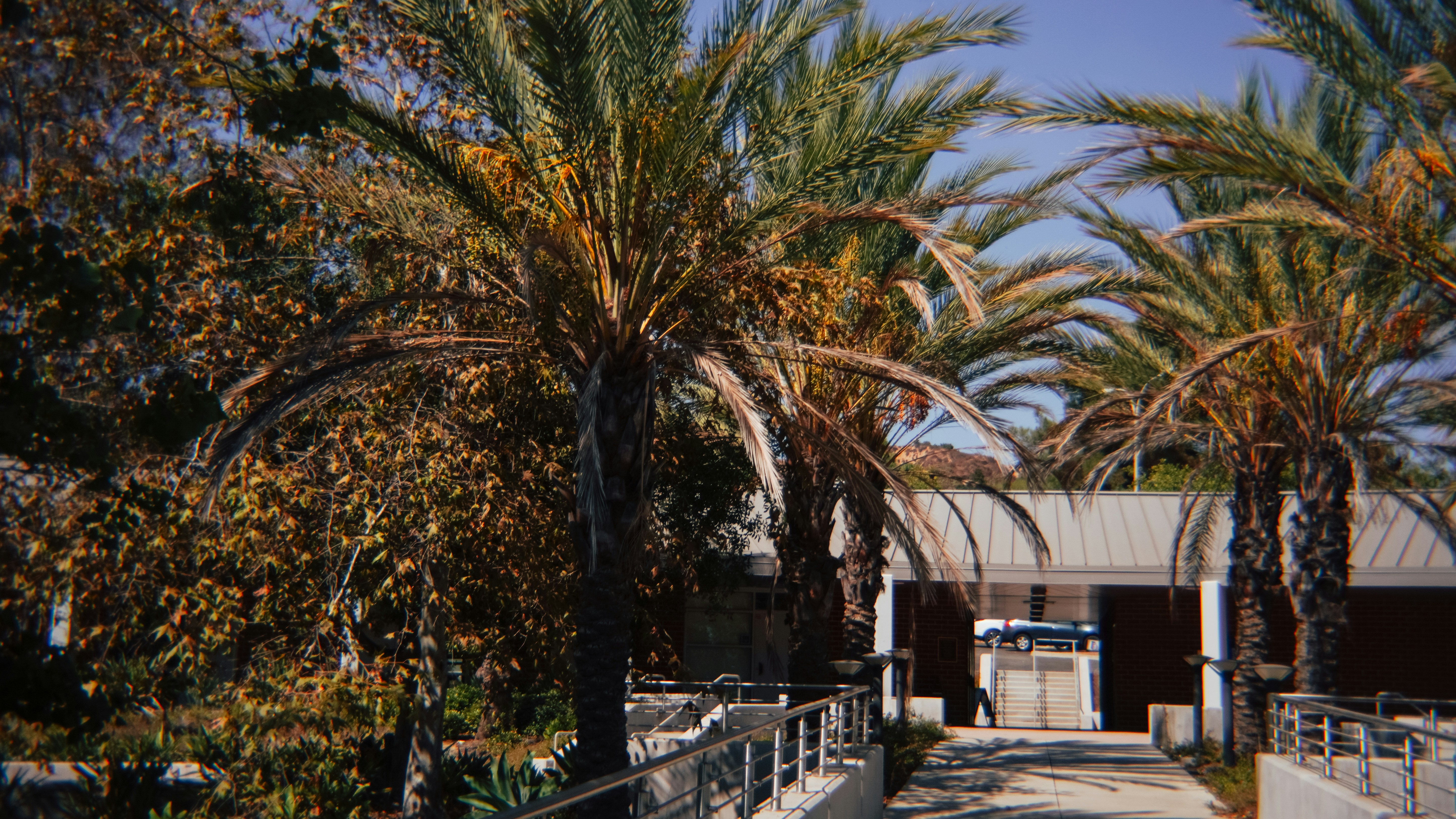 Mandy Ferrer (@southcypress) | Unsplash-Foto-Community