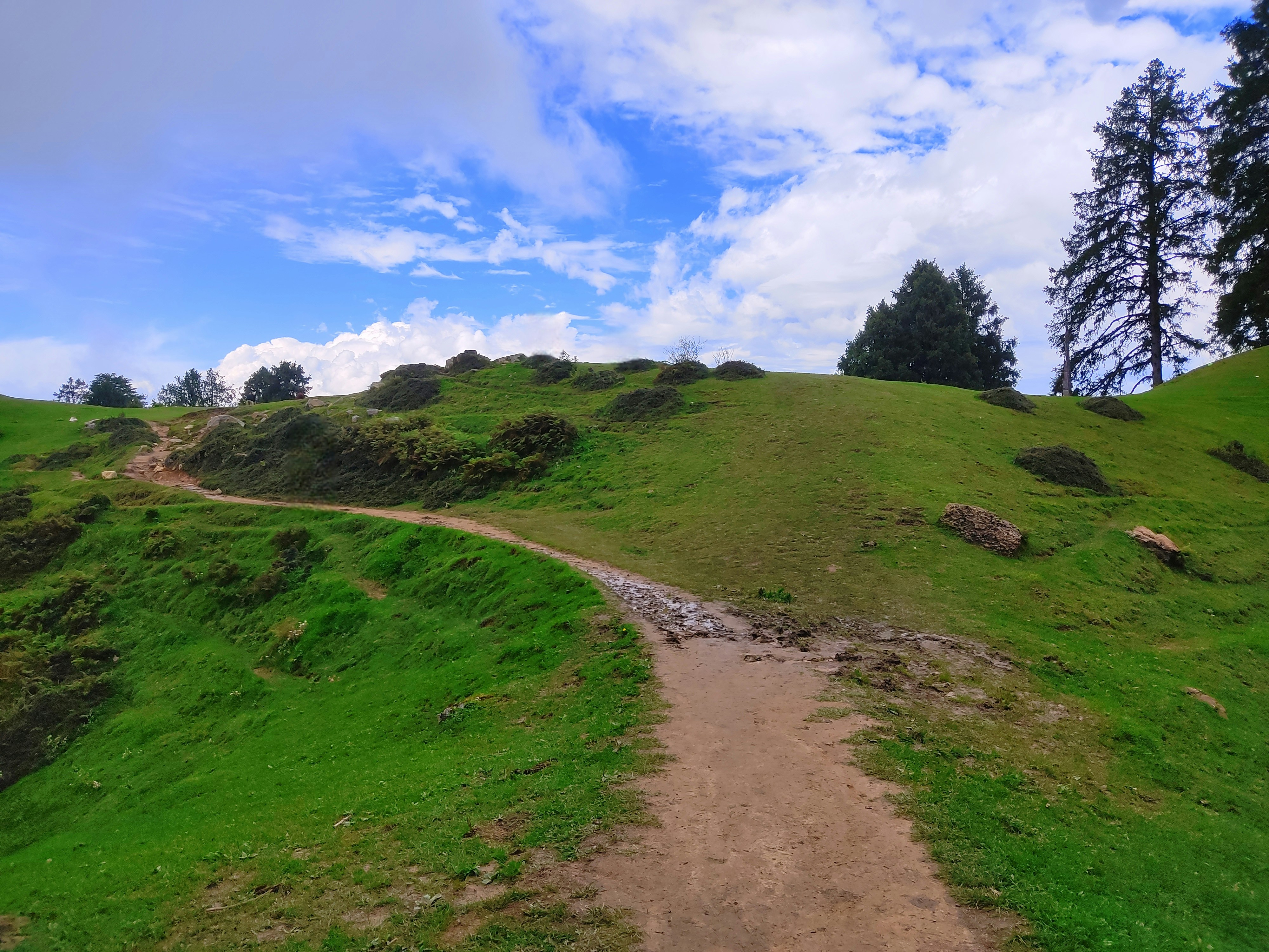 Verdant Crestway: A Winding Trail Through Rolling Hills