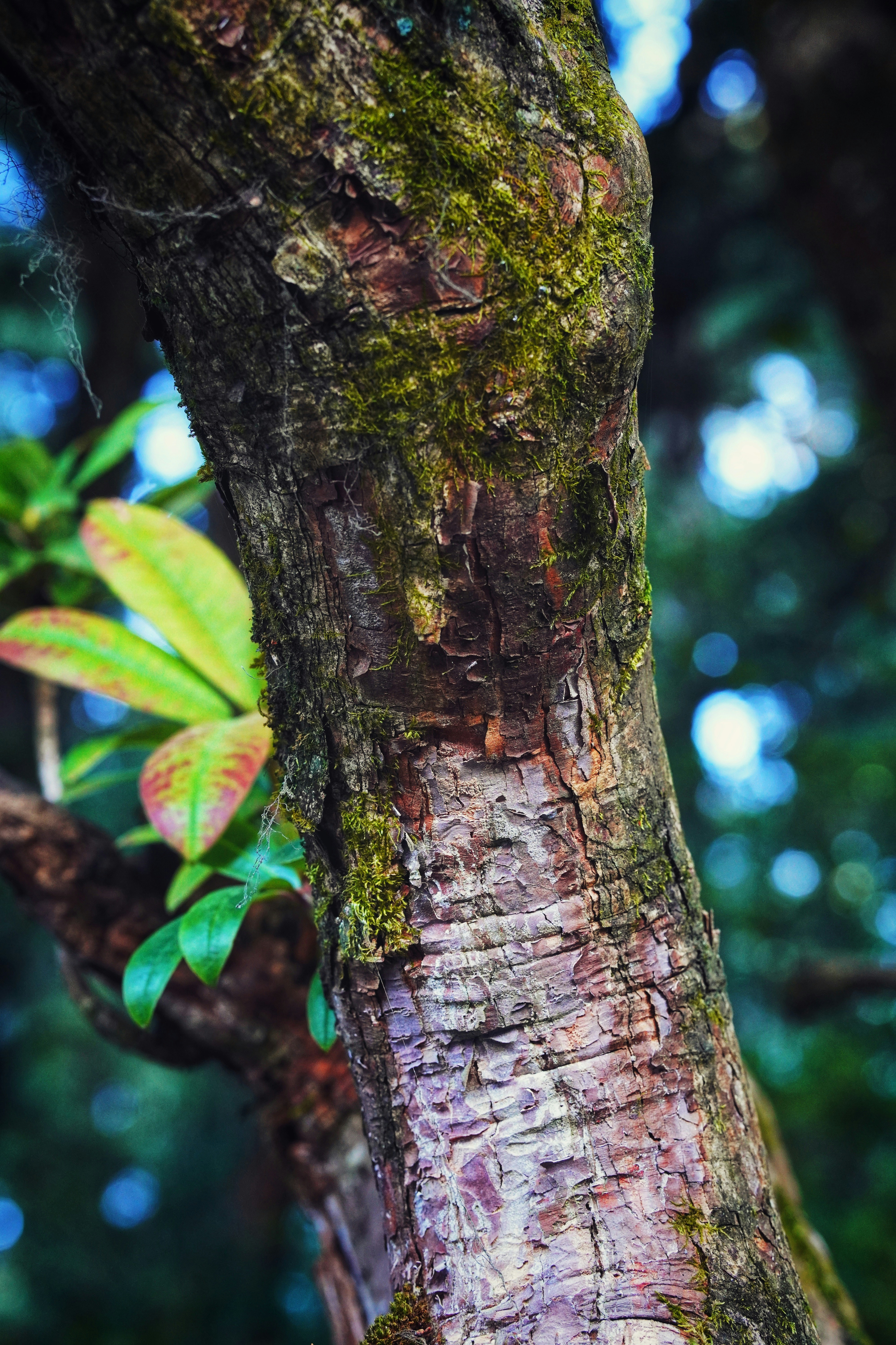 Prince Mathew (@metallizer) | Unsplash 사진 커뮤니티
