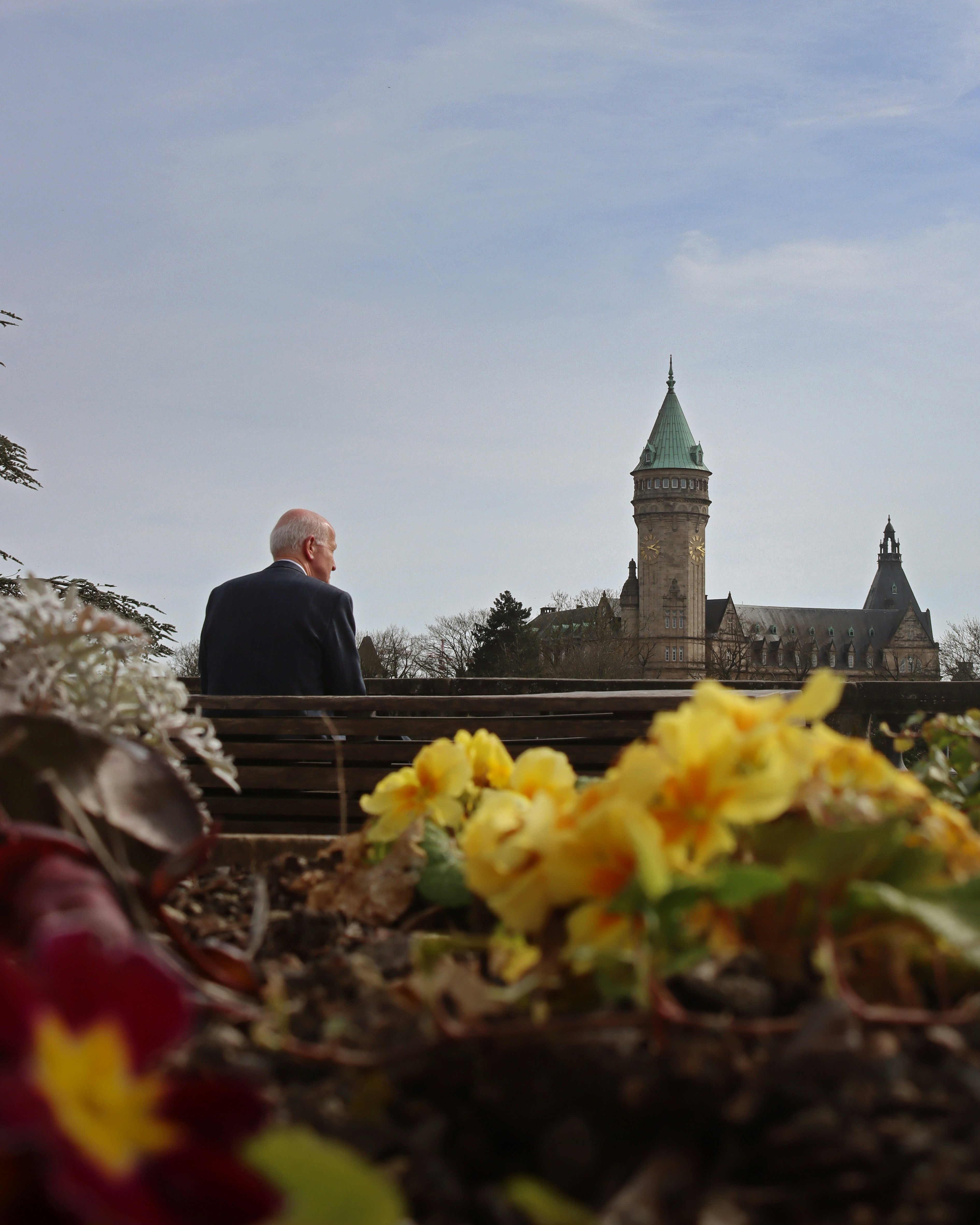 Benchside Reverie: A Quiet Moment Before a Turreted Castle Framed by Bright Flowers