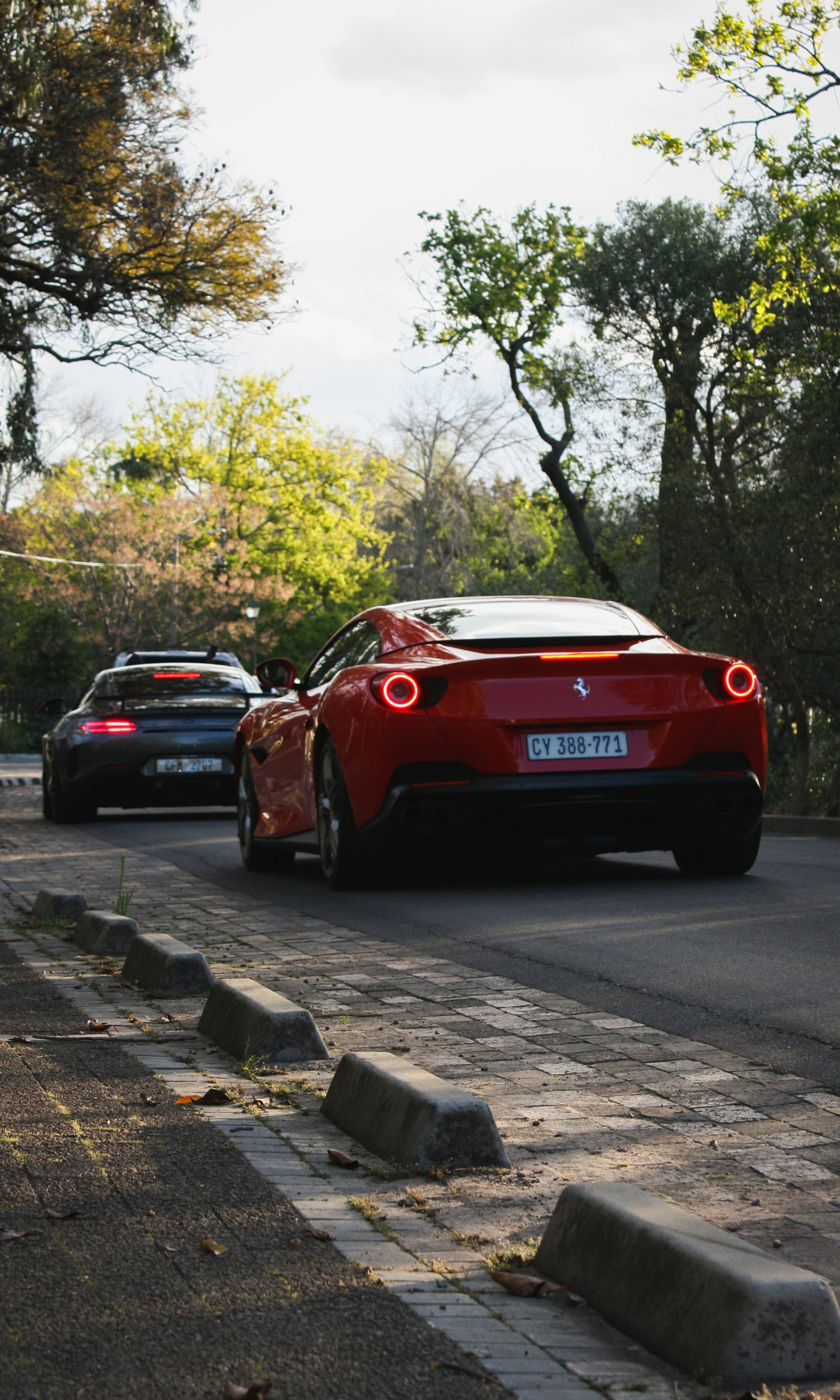 Crimson Ferrari on a Leaf-Lined Street Under Dappled Afternoon Light