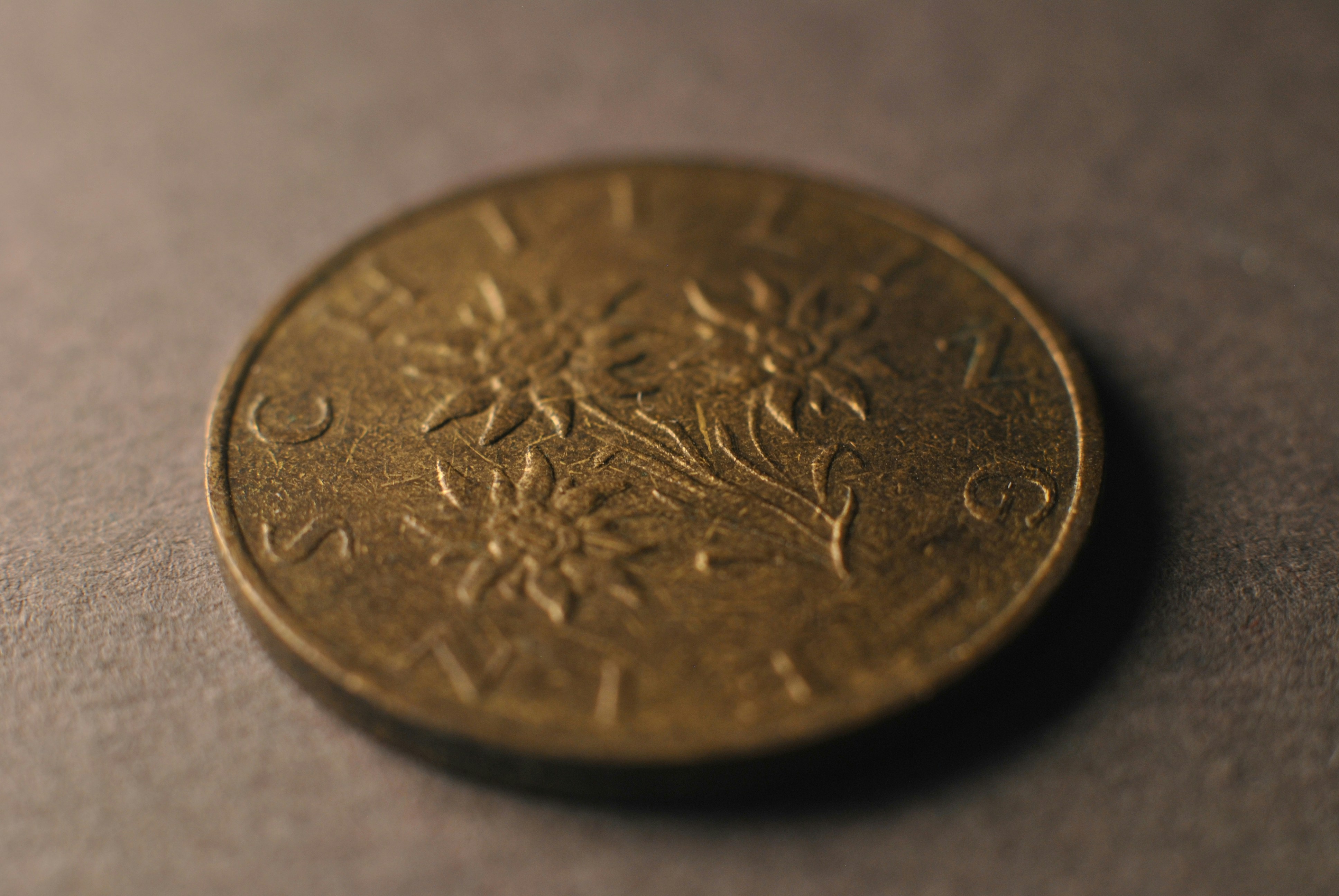 Close-Up of a Weathered Coin: Floral Motif in Soft Strokes