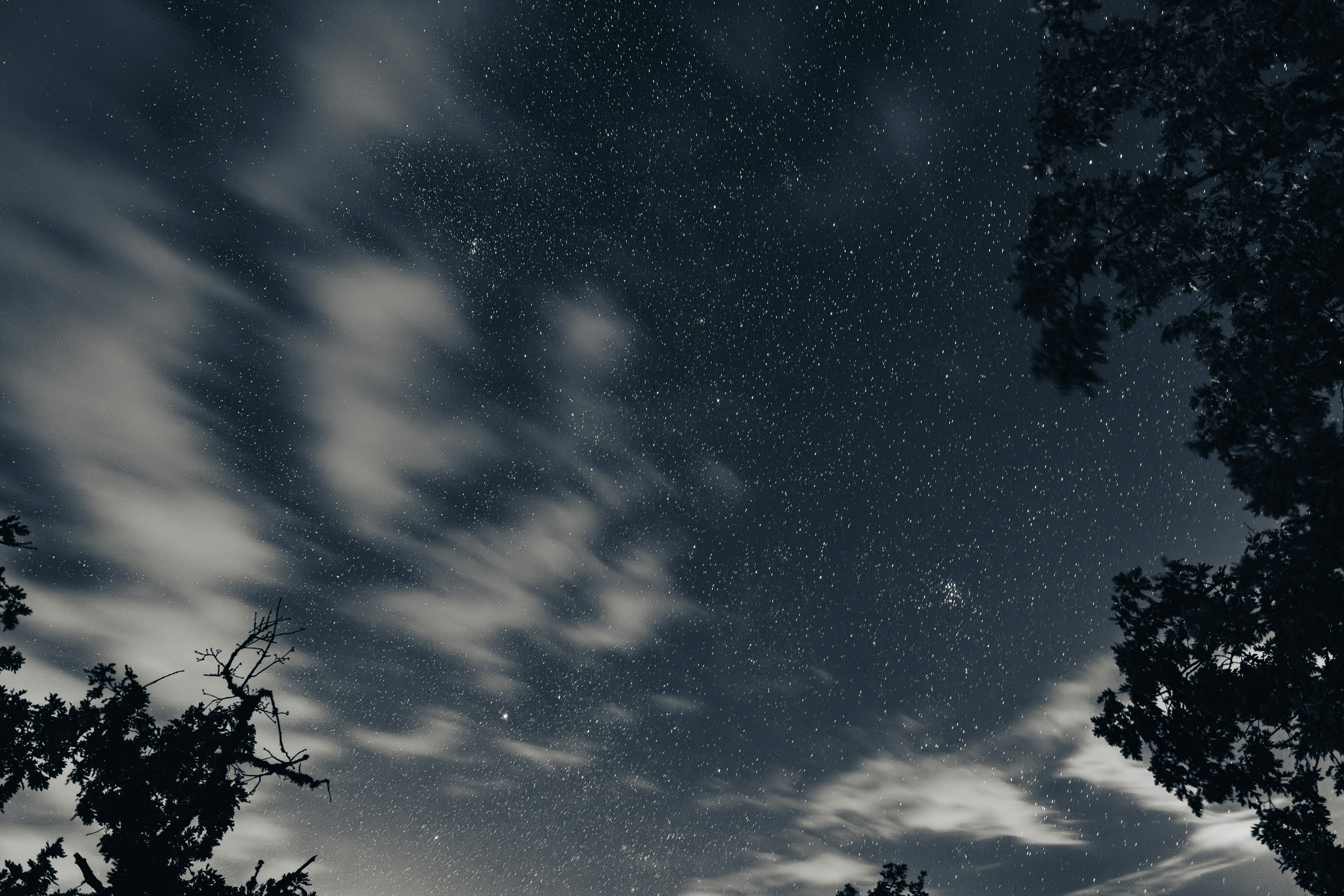 Photo by Tiago Ferreira with Sony Alpha 7 III