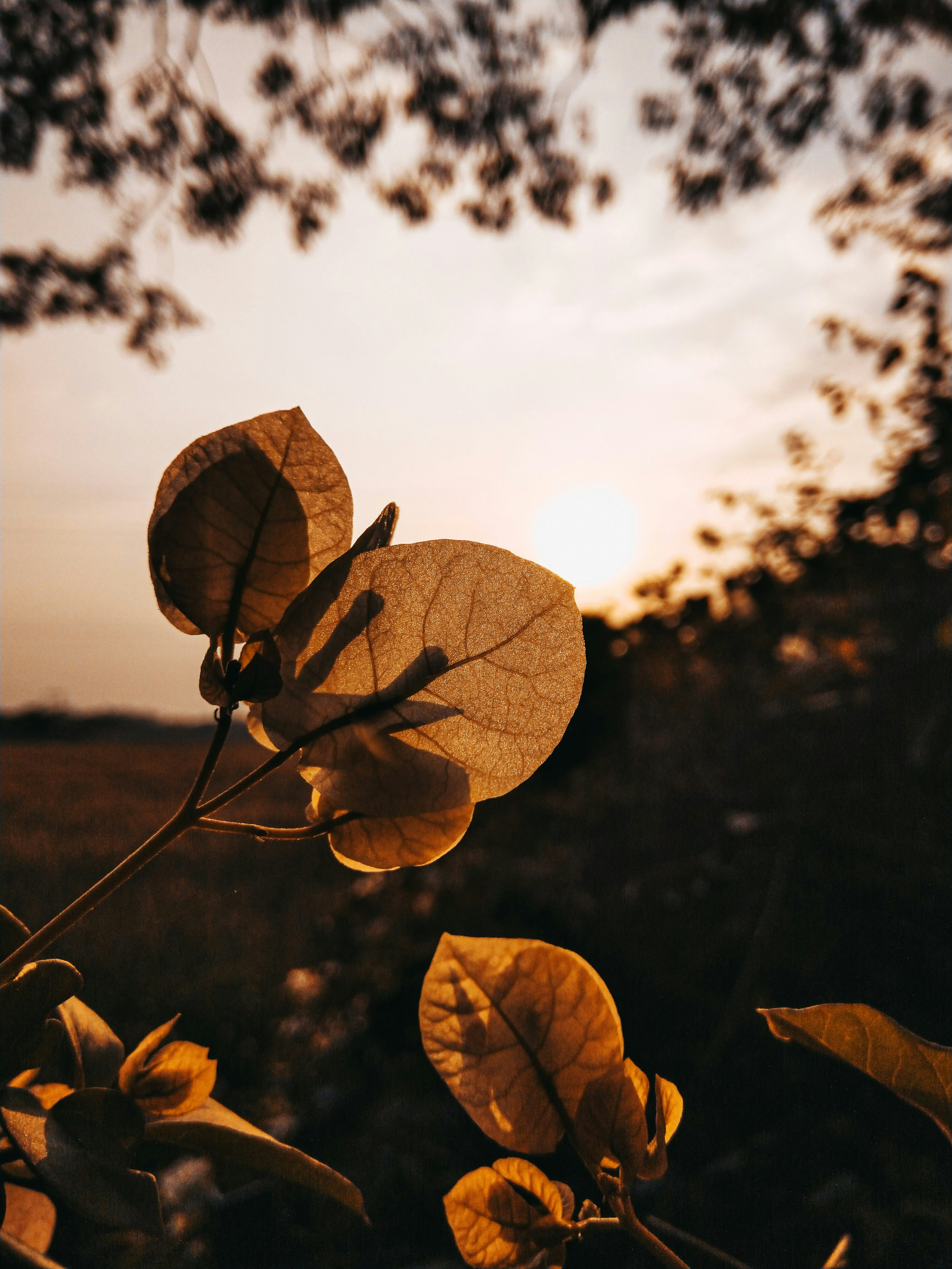 Photo by Lakshya Mimani with Nokia 6.1