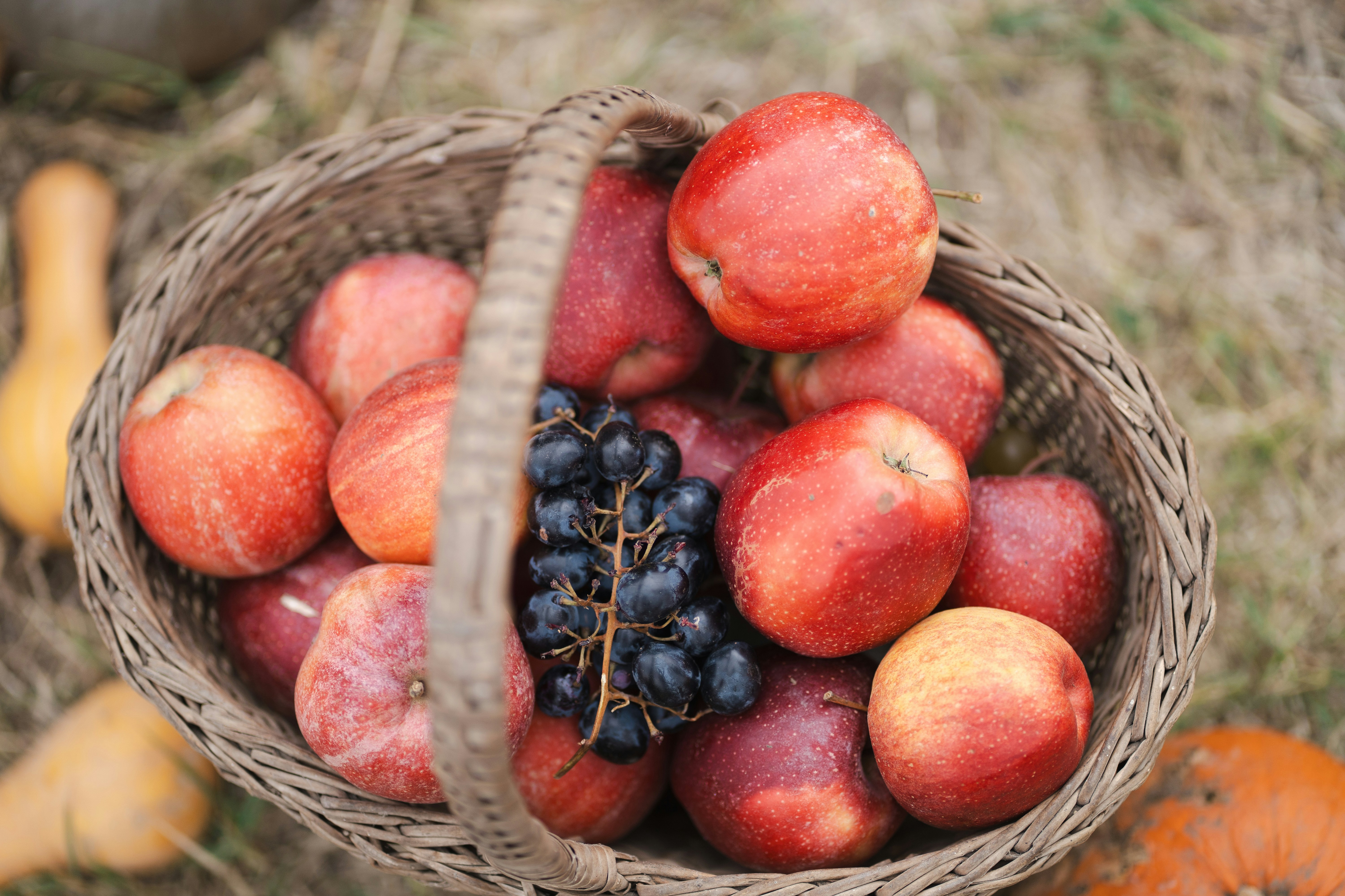 Autumn's Harvest: Red Apples Cradled with Midnight Grapes in a Woven Basket