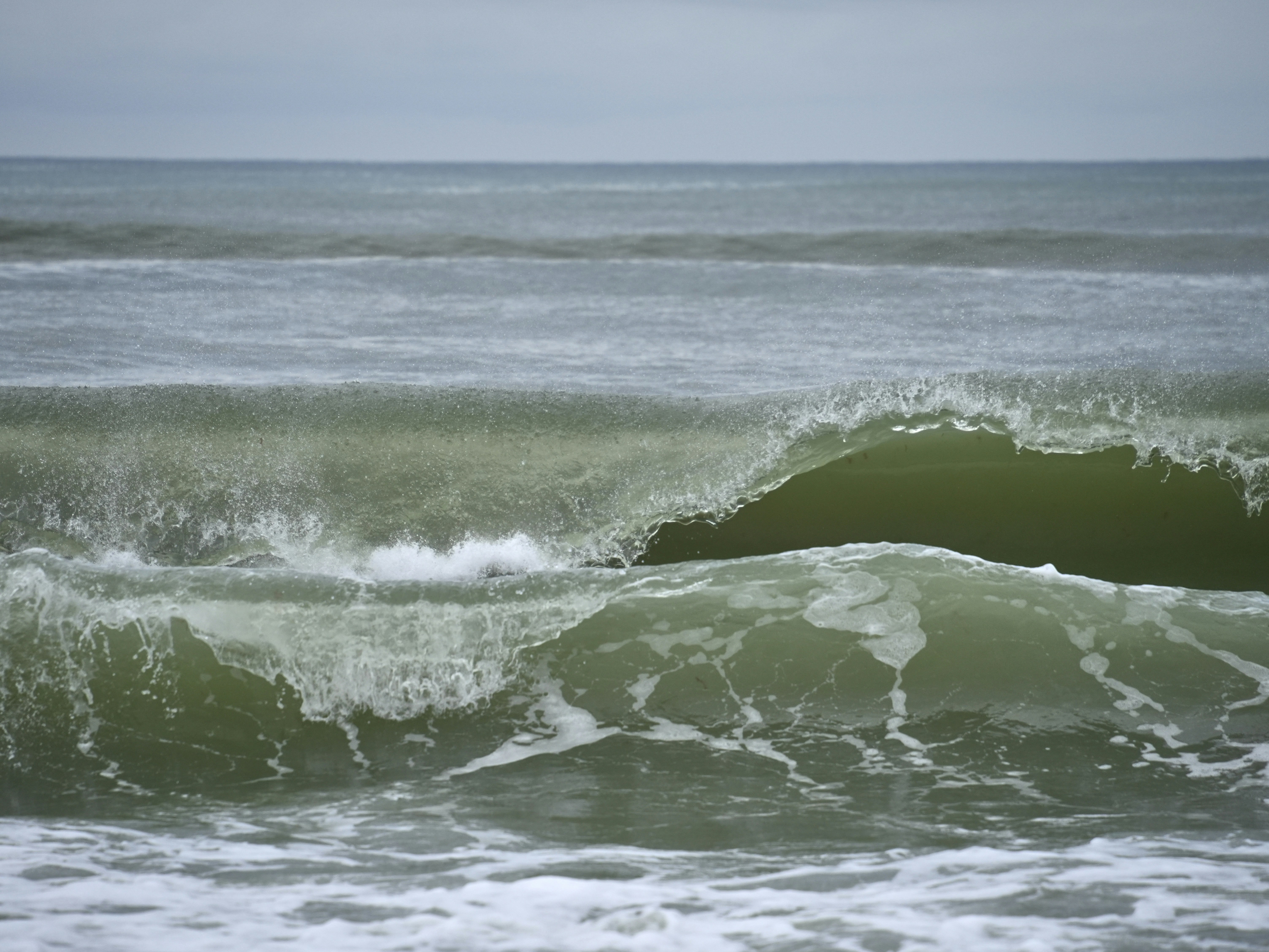 Photo by Wolfgang Hasselmann with Sony Alpha 7 IV