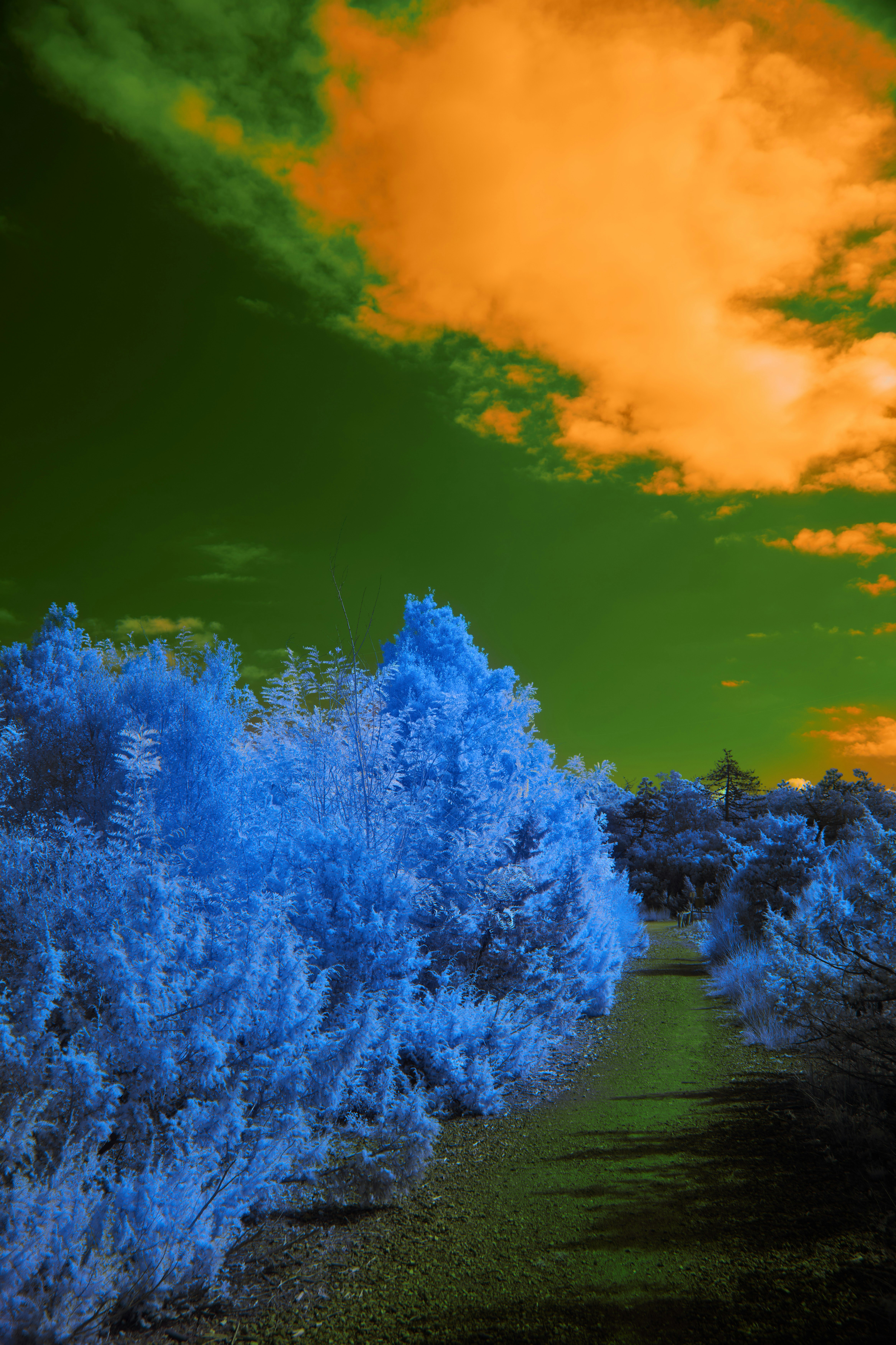 A blue and green landscape with trees and clouds photo – Free Nature ...