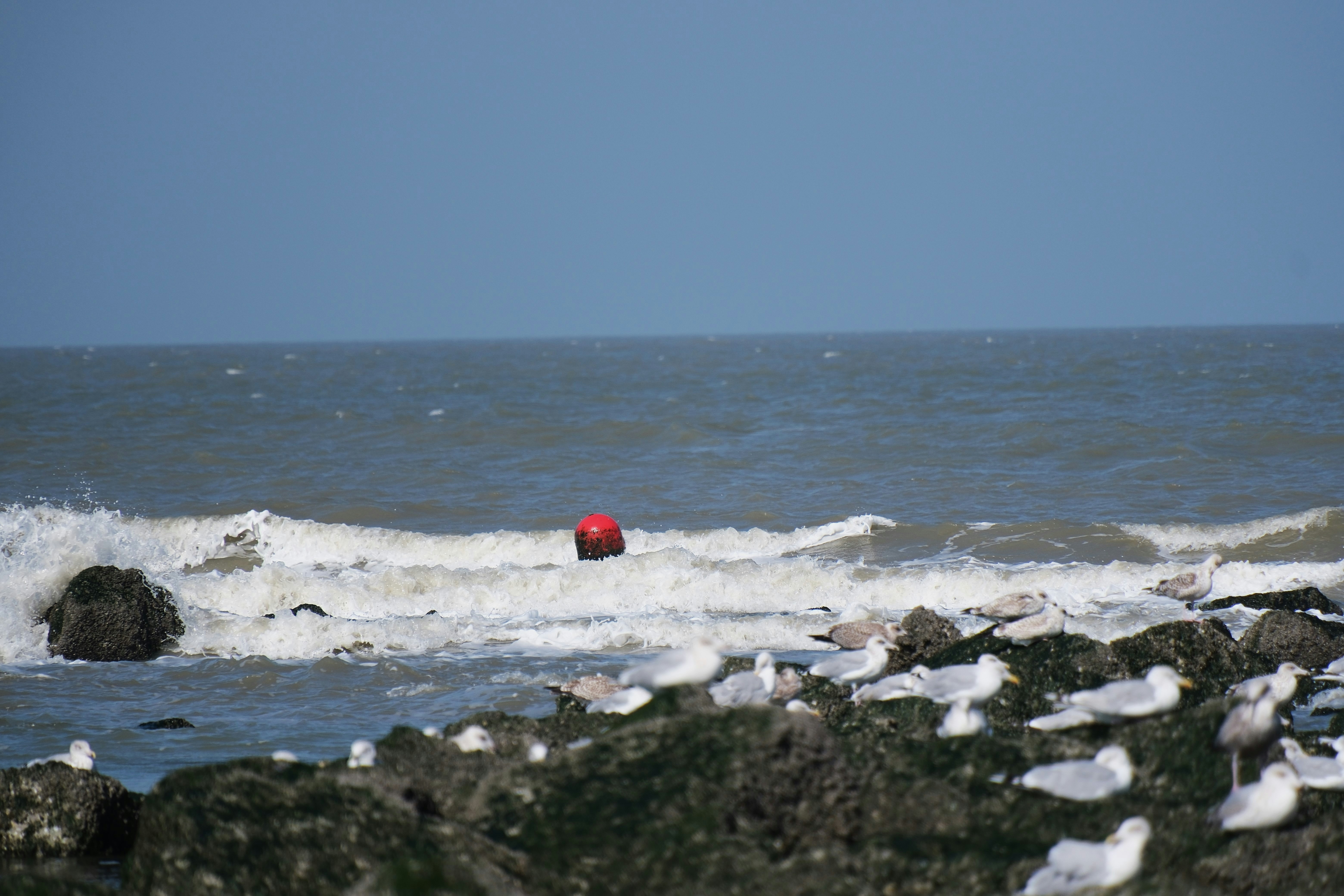 A Buoyant Beacon Amidst the Waves