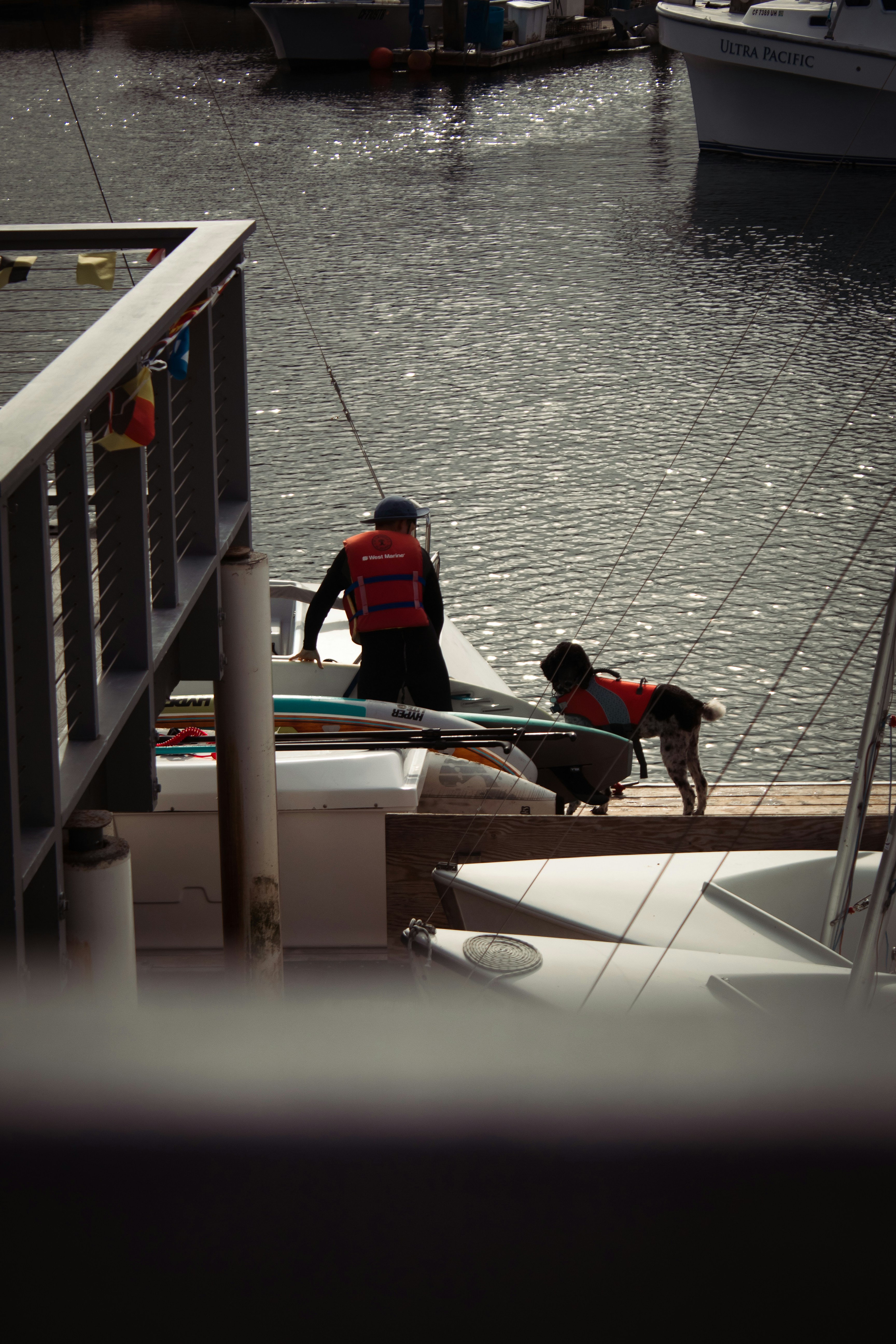 Daniel Damasio (@dandamasio) | Communauté photos Unsplash