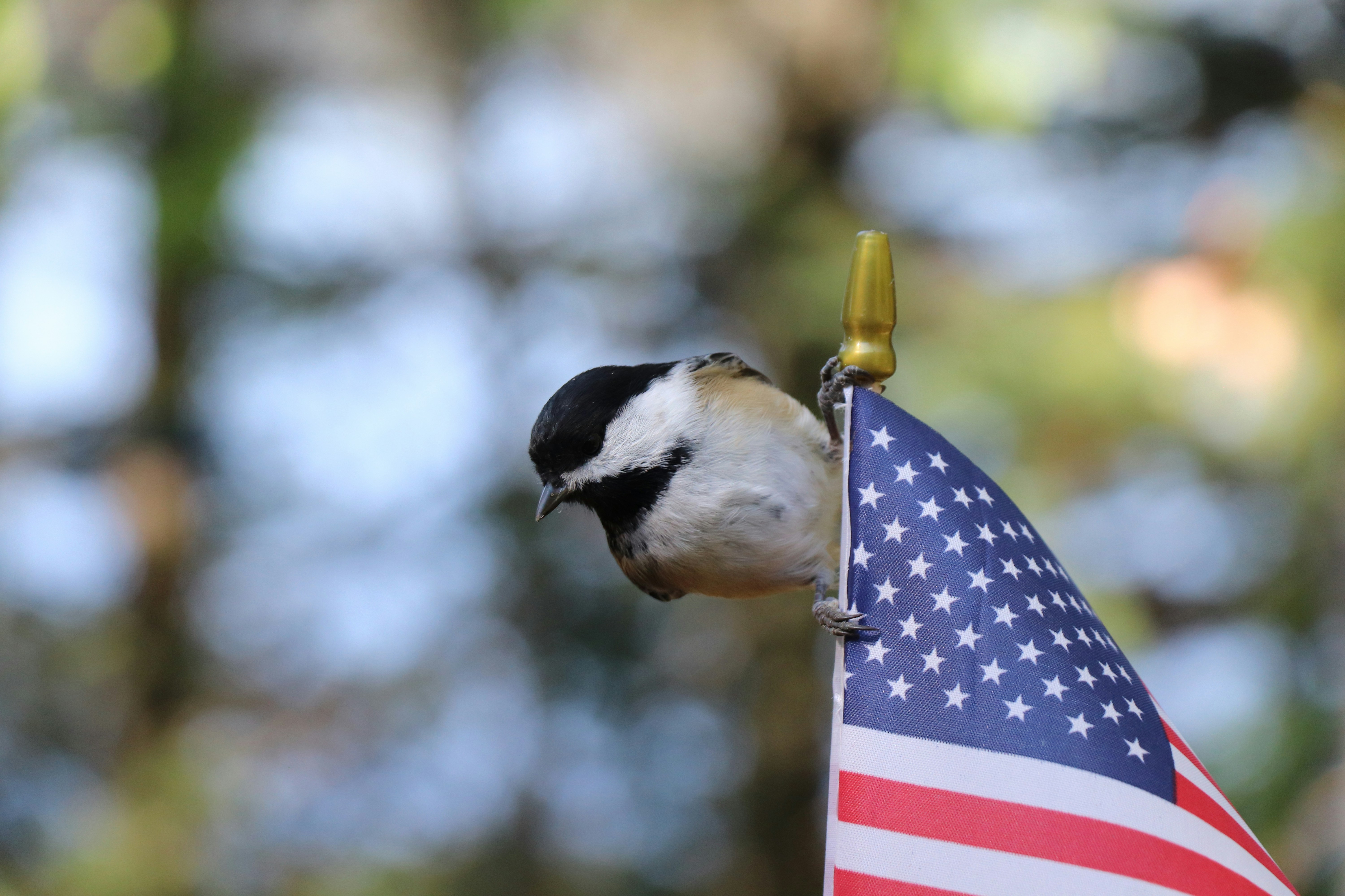 Photo by Sandi Mager with Canon EOS 77D