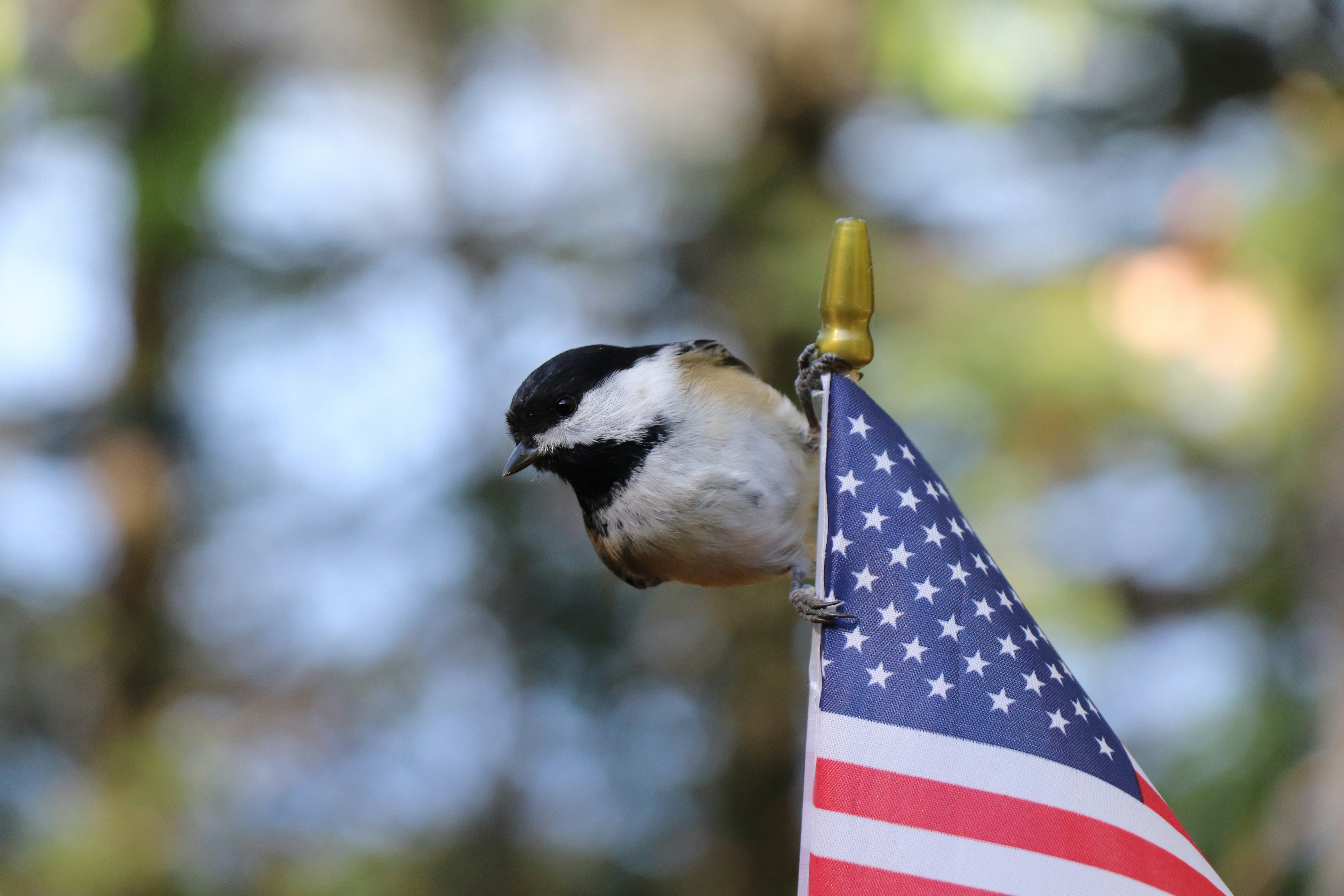 Photo by Sandi Mager with Canon EOS 77D