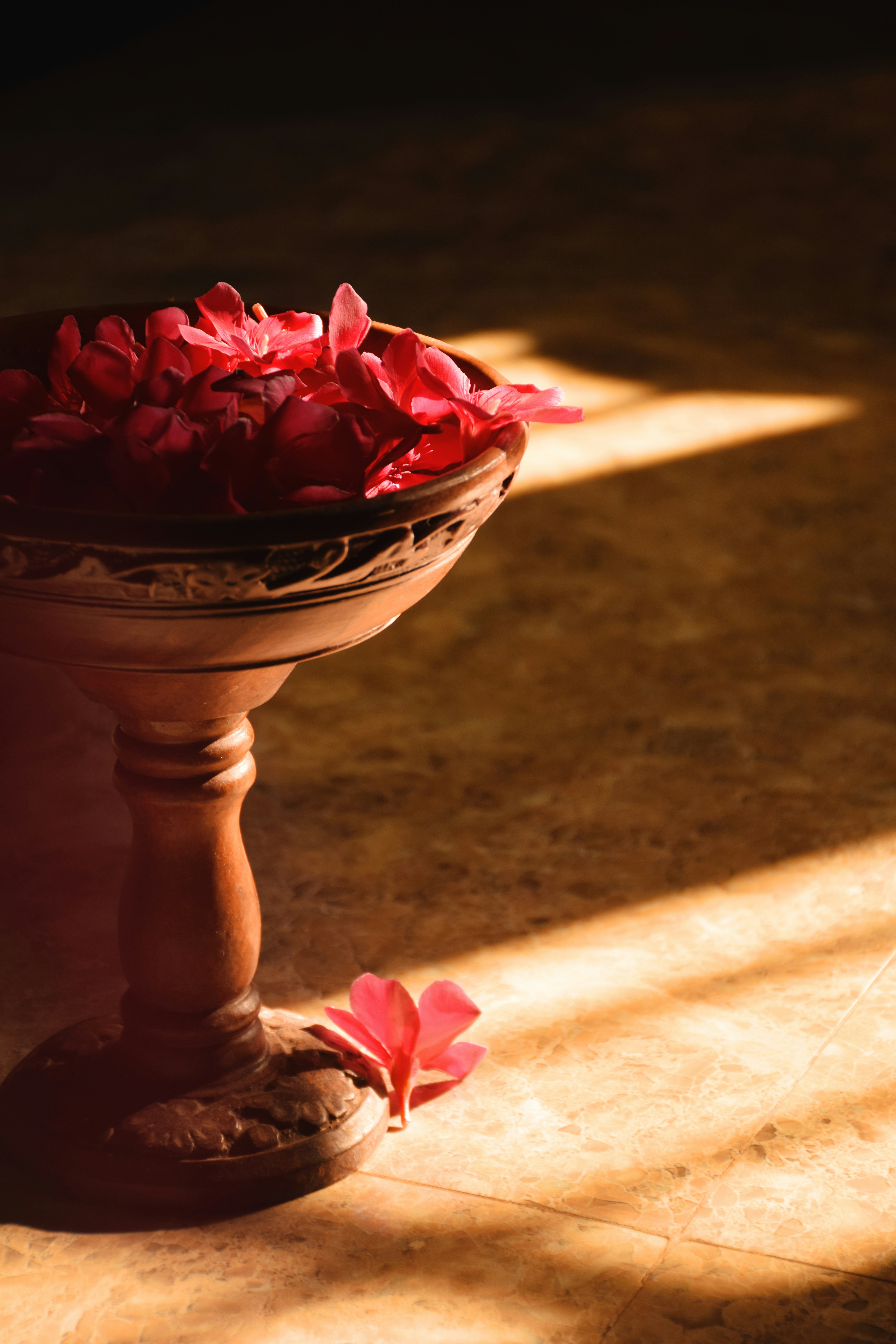 Crimson Petals in a Warm Spotlight on a Wooden Pedestal Bowl