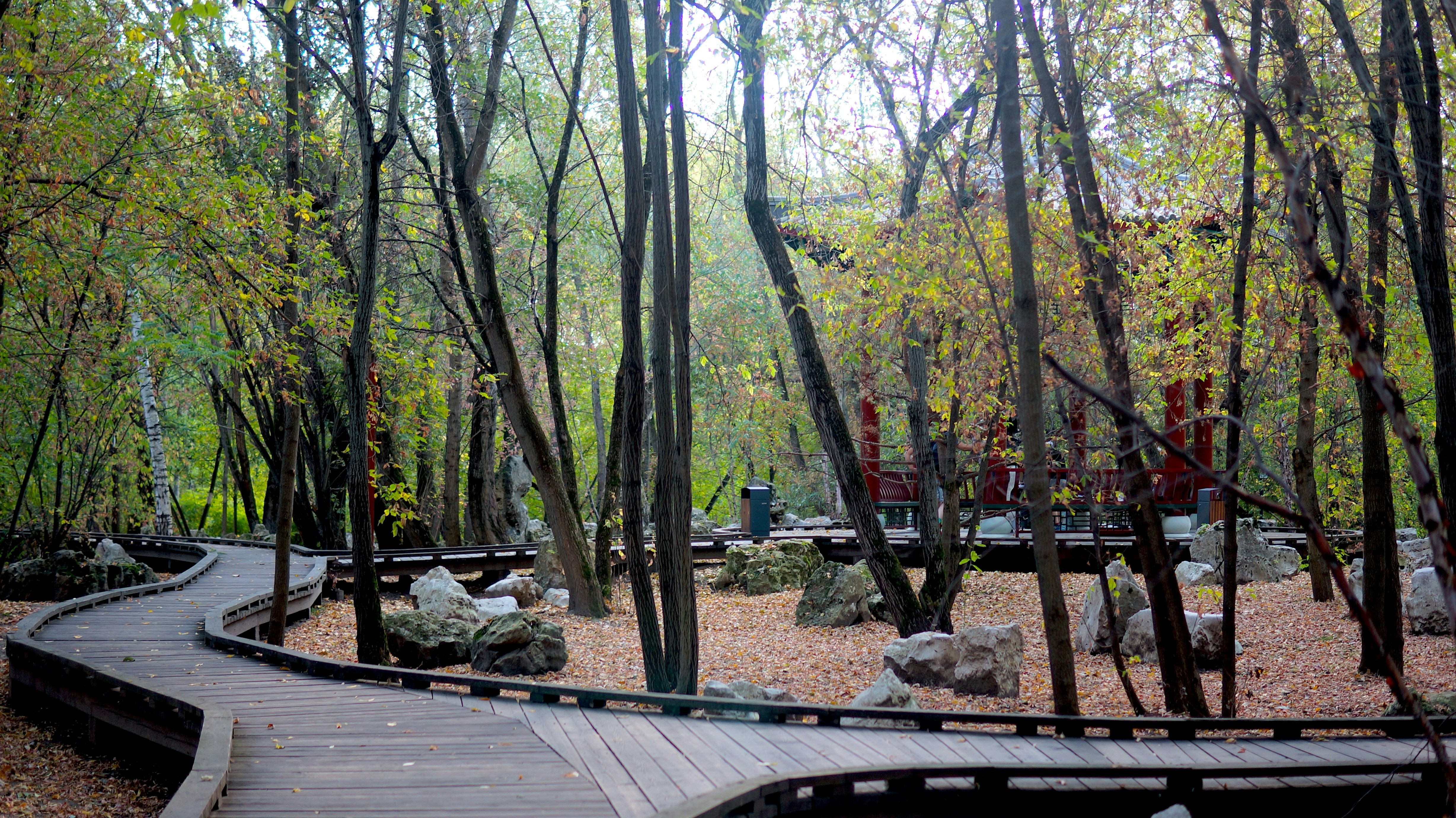 Outdoor Park Pictures | Download Free Images on Unsplash
