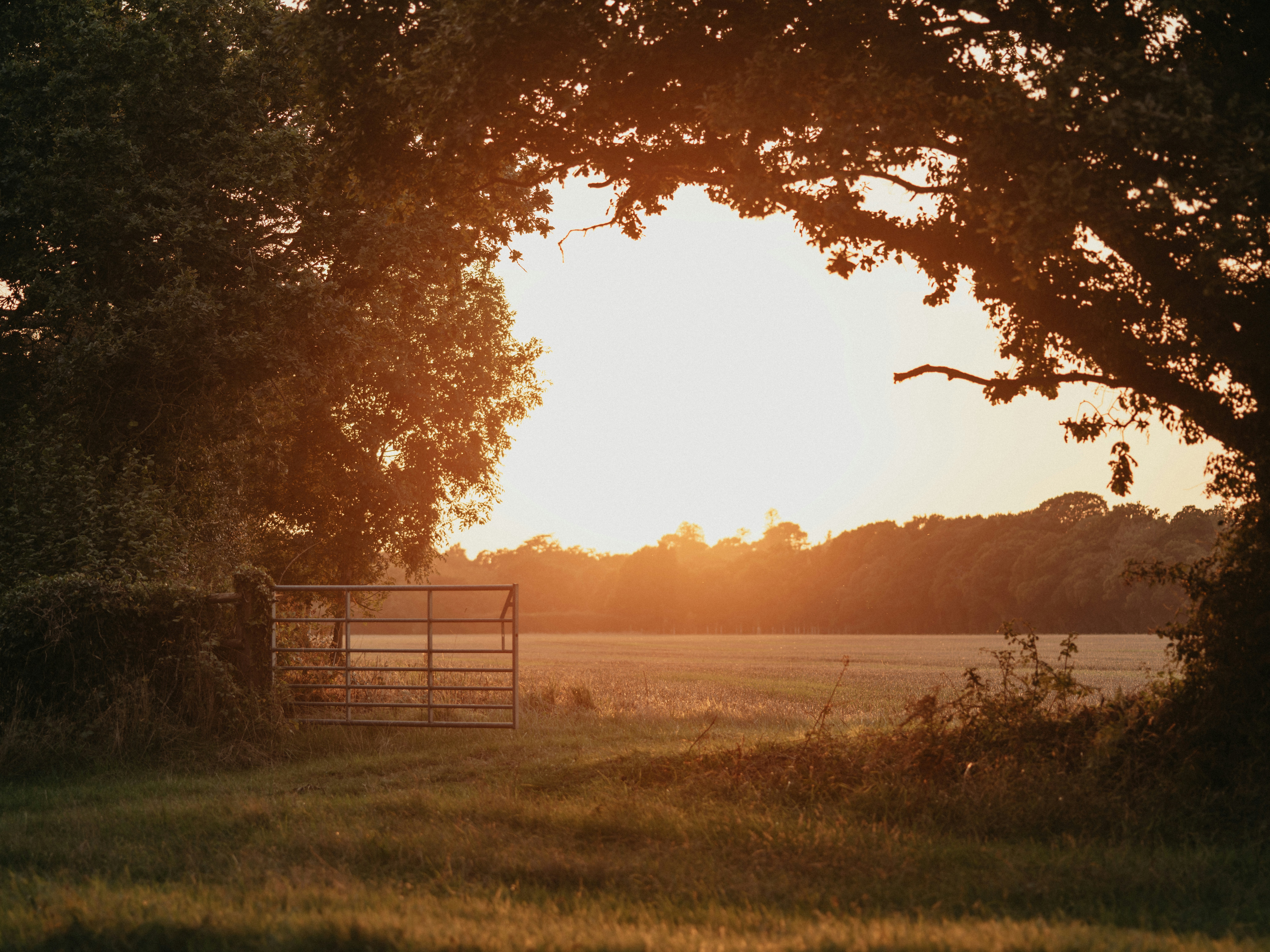 The sun is setting behind a gate in a field photo – Free Gate Image on ...
