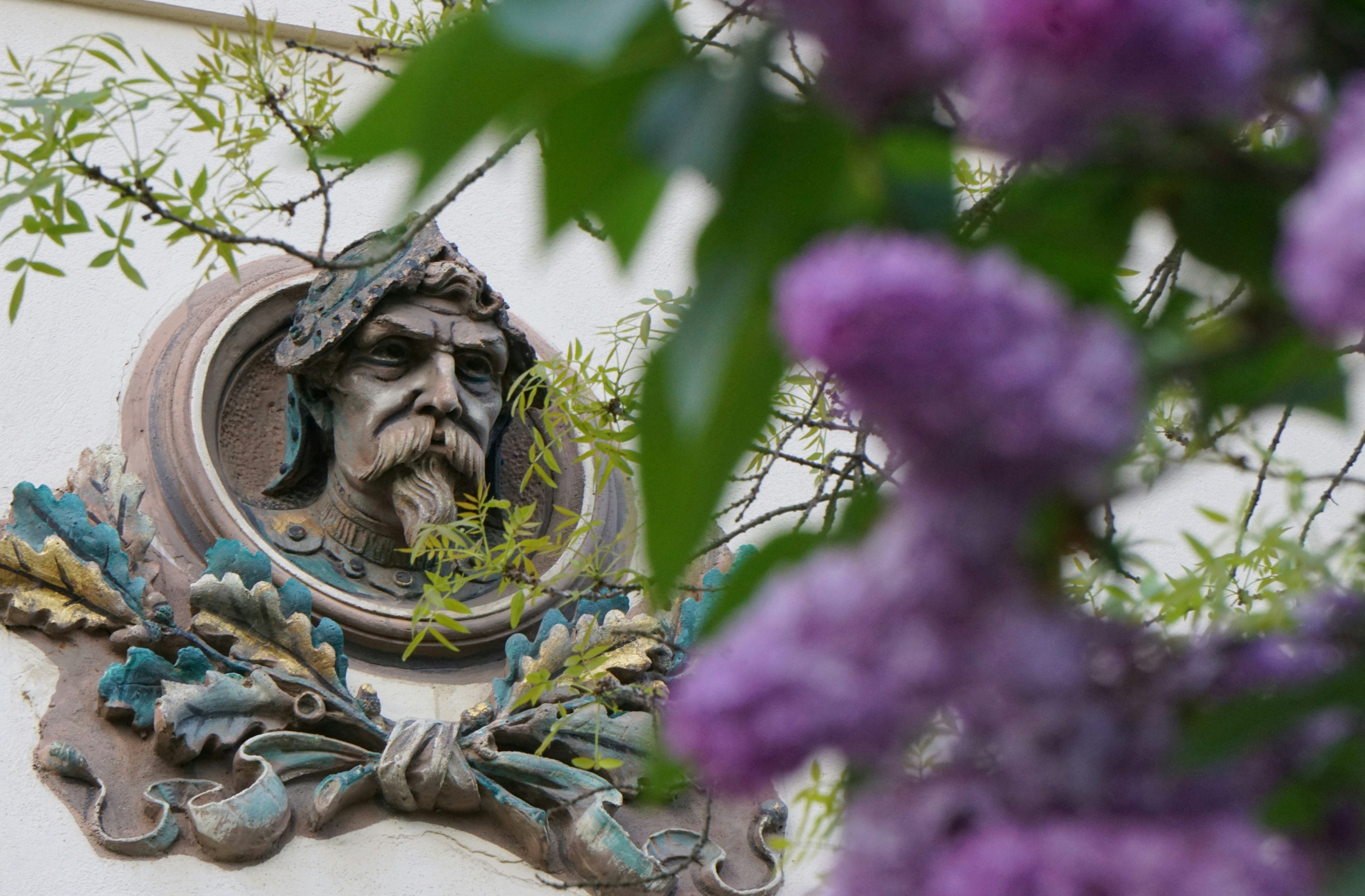 Garden Guardian: A Stone Sculpted Head Framed by Purple Blooms