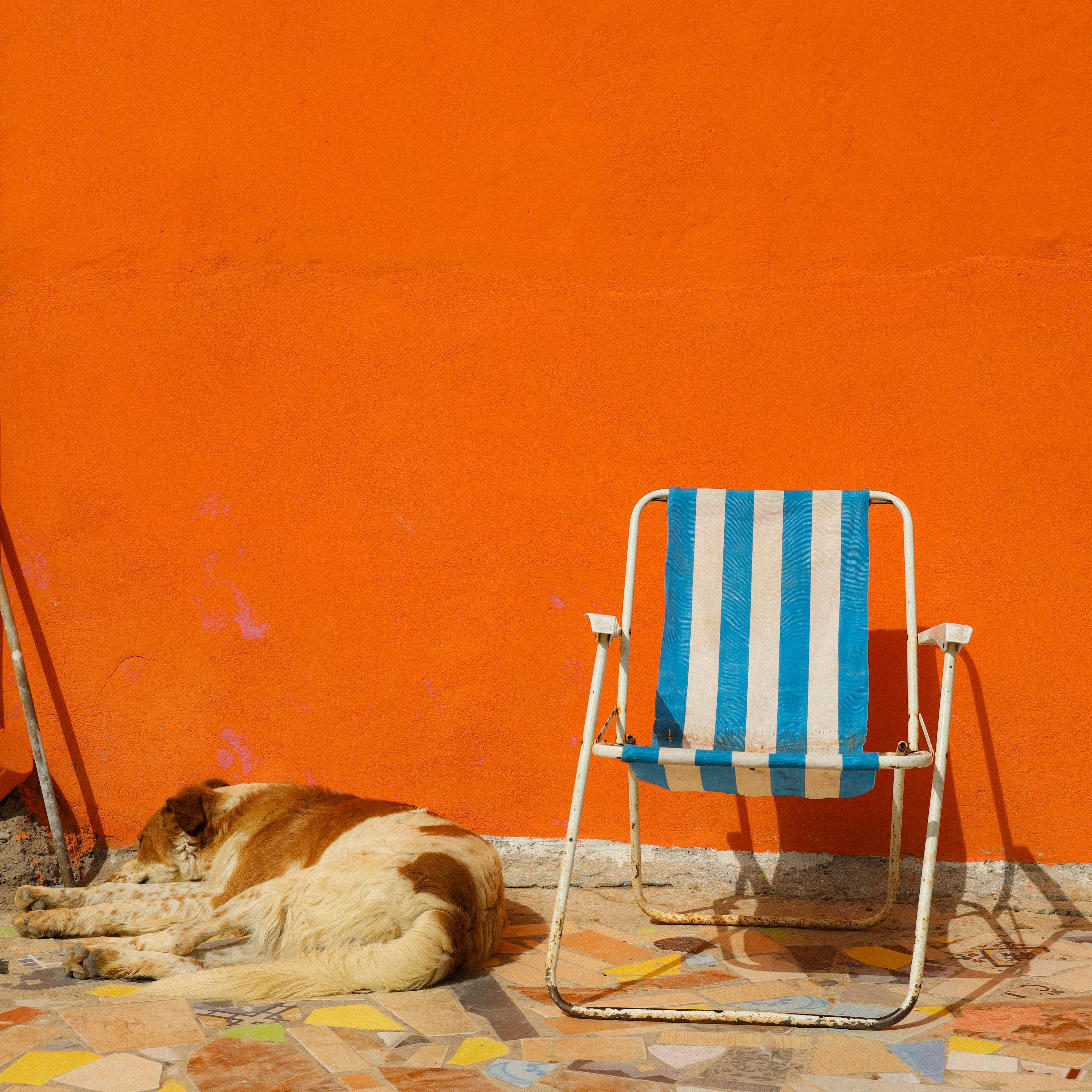 A relaxed dog sprawled on a colorful tiled floor beside a striped beach chair, against a vibrant orange wall.