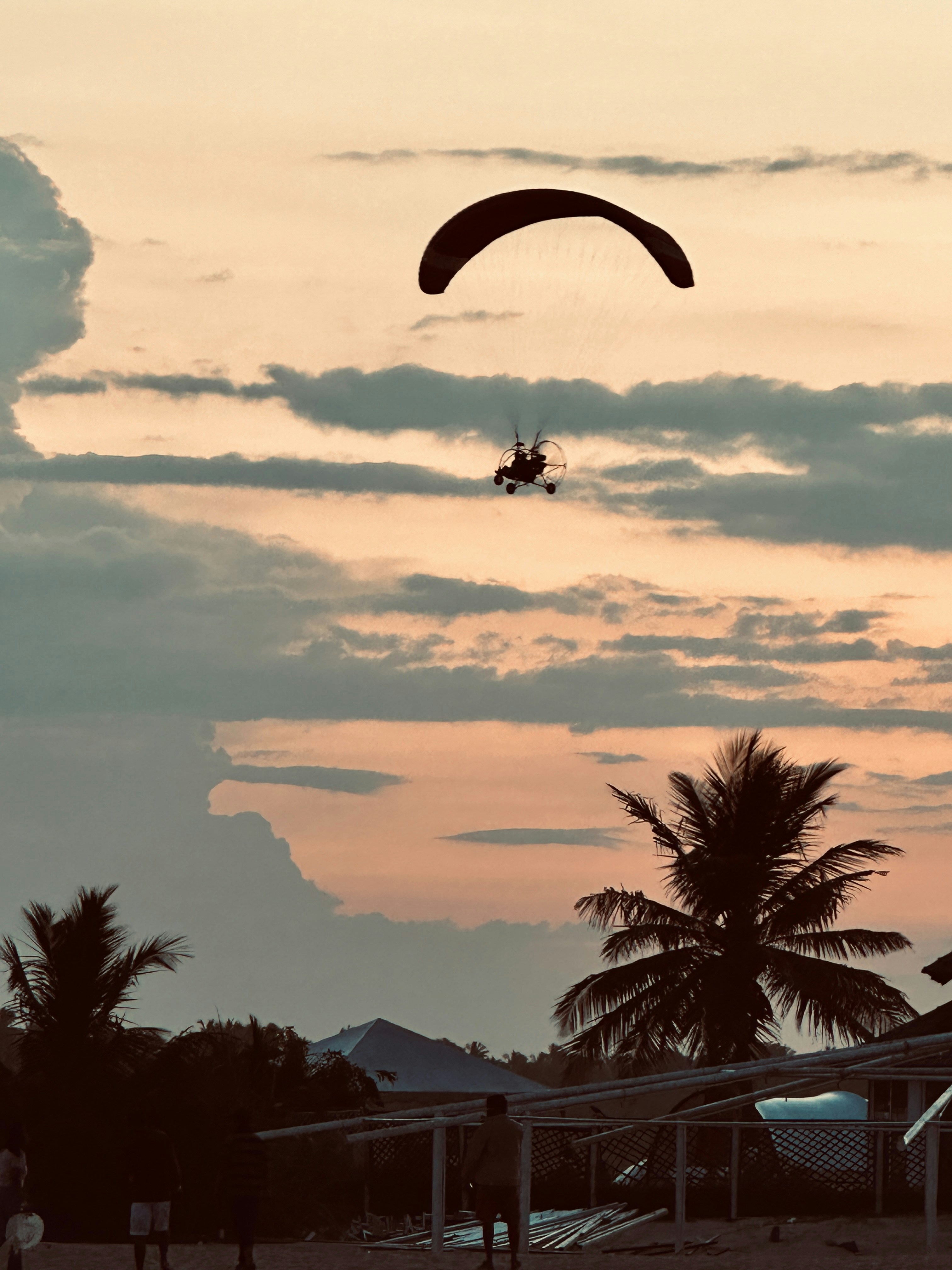 Arc Above the Palm Horizon: Paraglider at Dusk