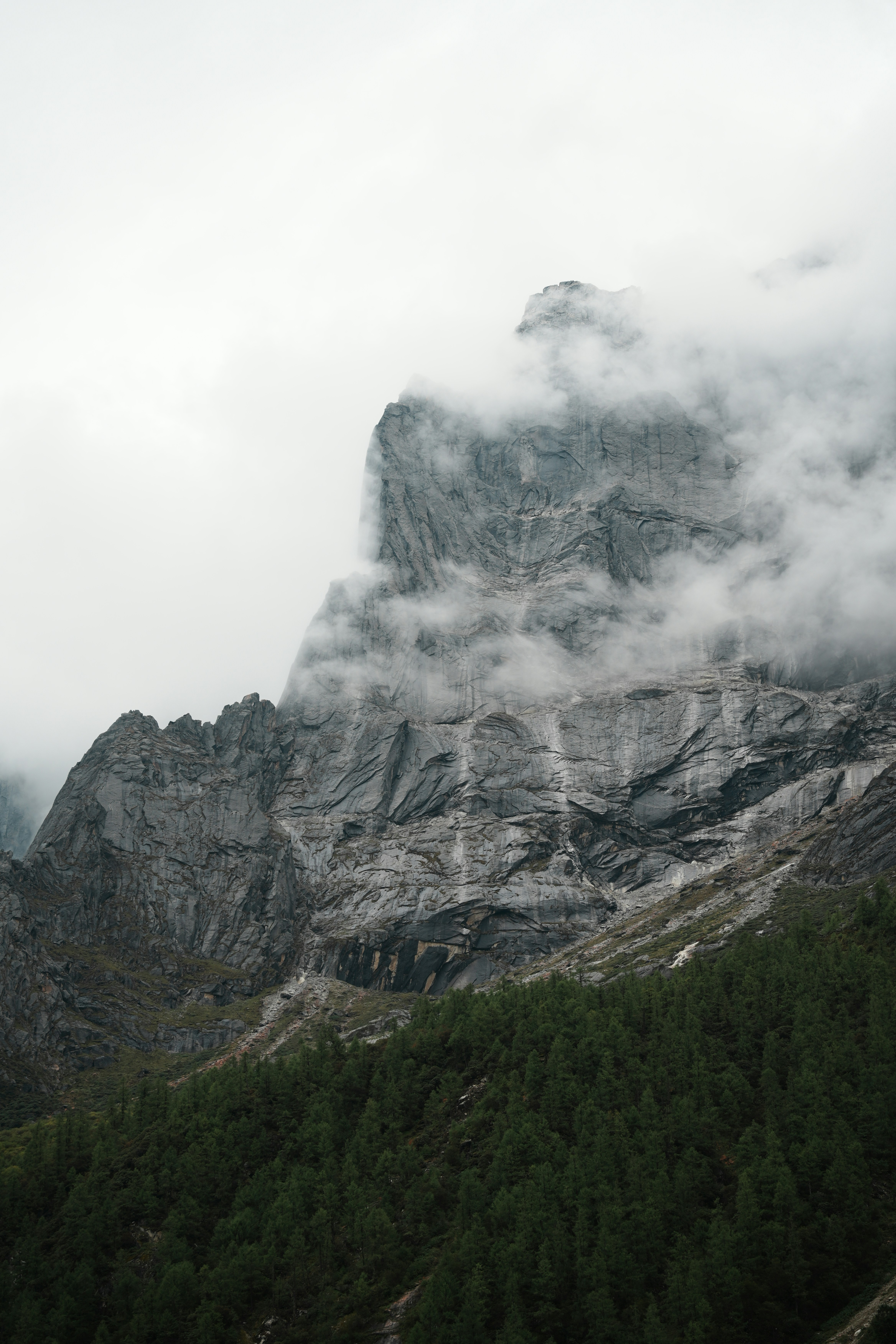 Jerry Shen (@orson_krennic) | Unsplash 사진 커뮤니티