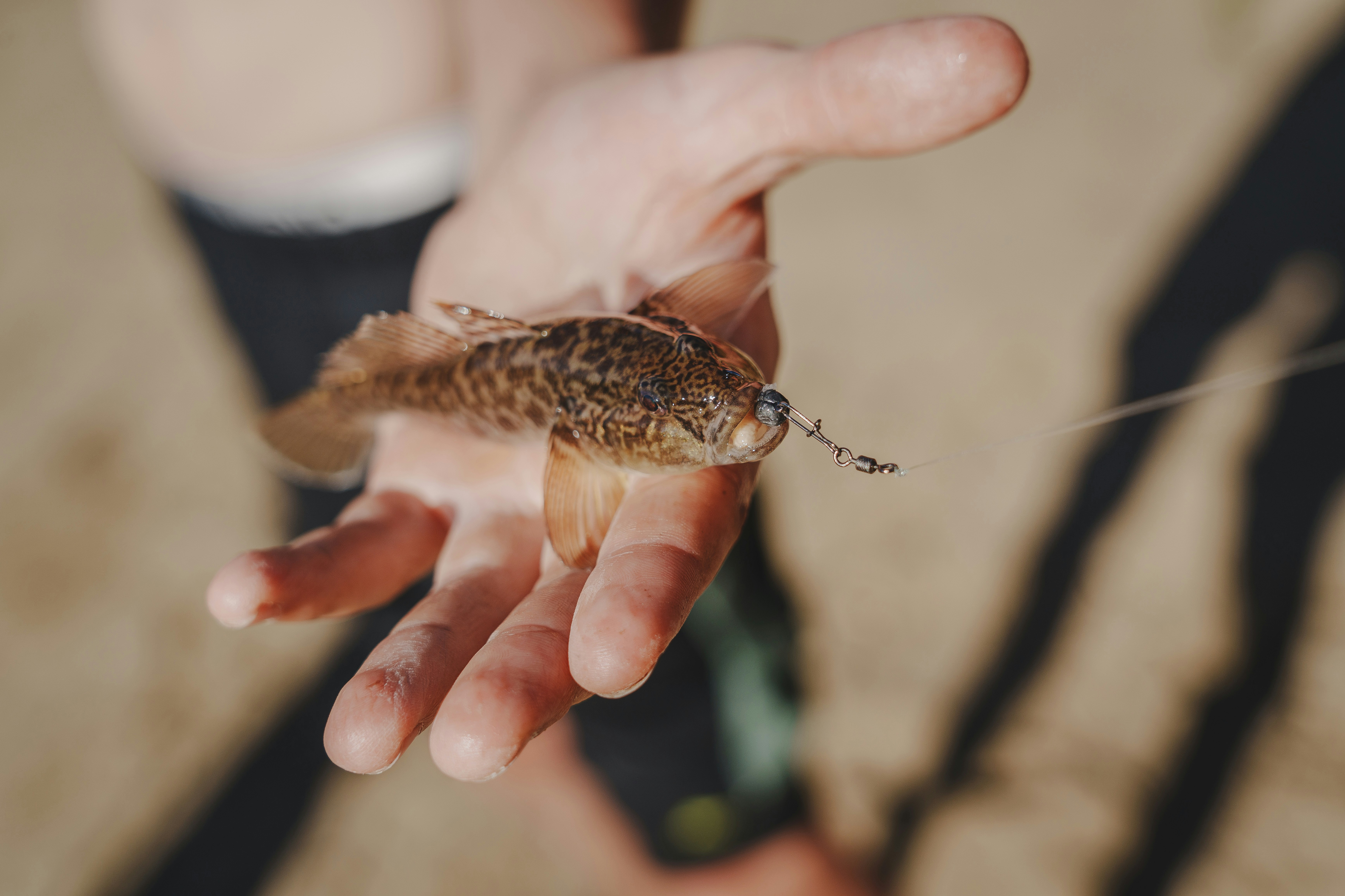 A person holding a small animal in their hand