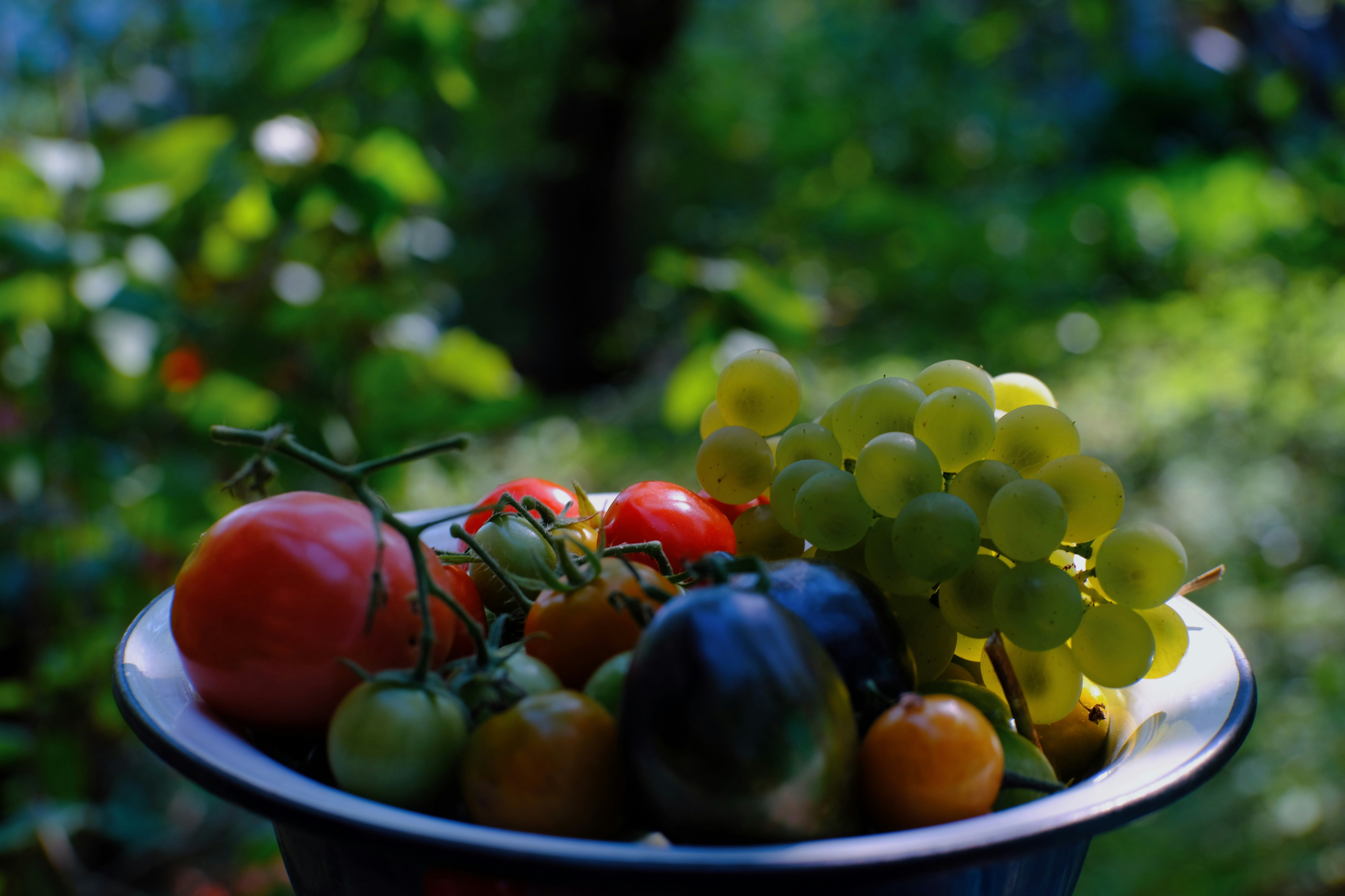 Grapes in Focus, Tomatoes in Shadow: A Garden Bowl Snapshot