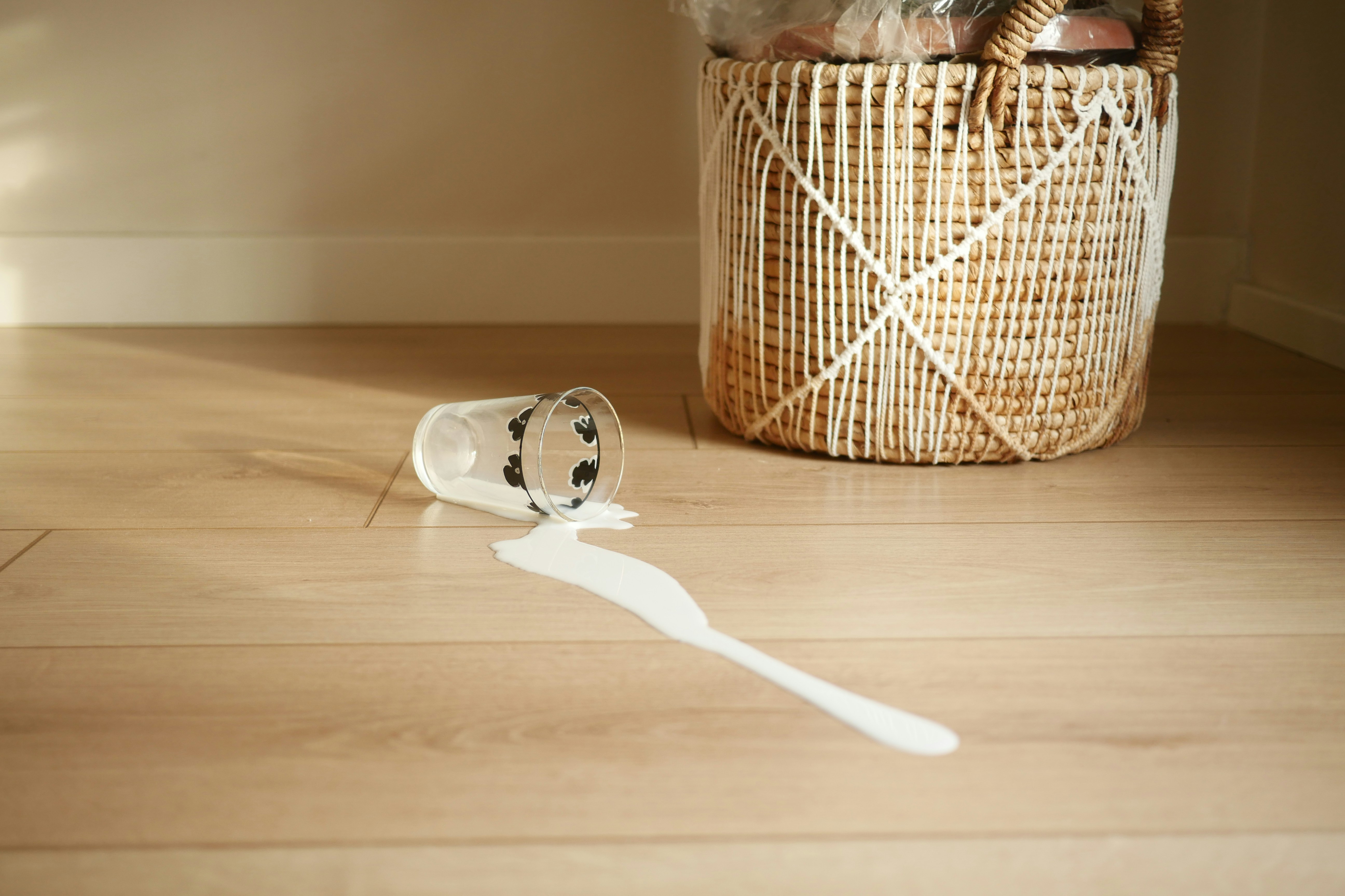 Sample photo from Panasonic Lumix G100