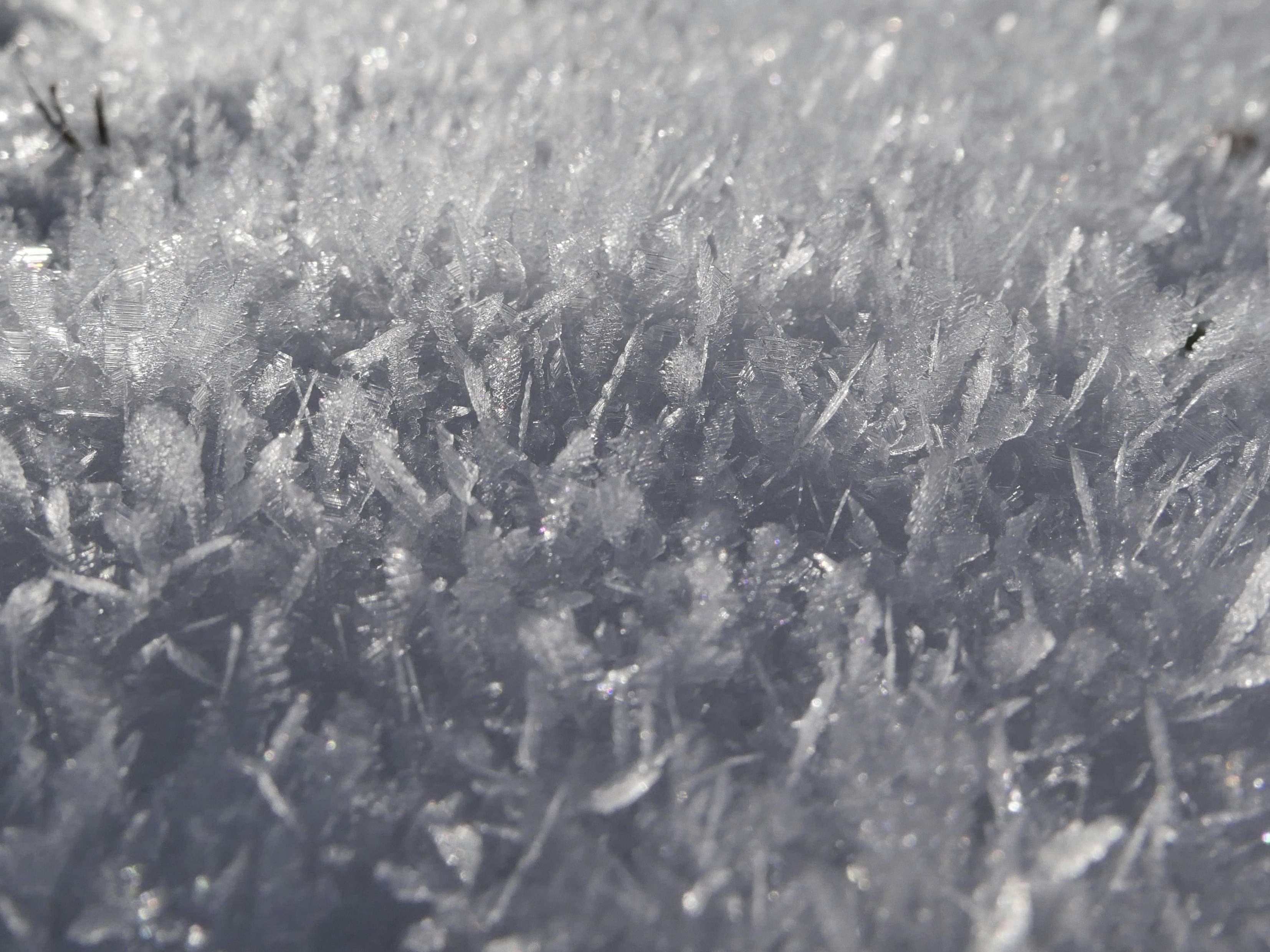 Close-up of sunlit ice crystals forming intricate patterns in a frosty landscape.