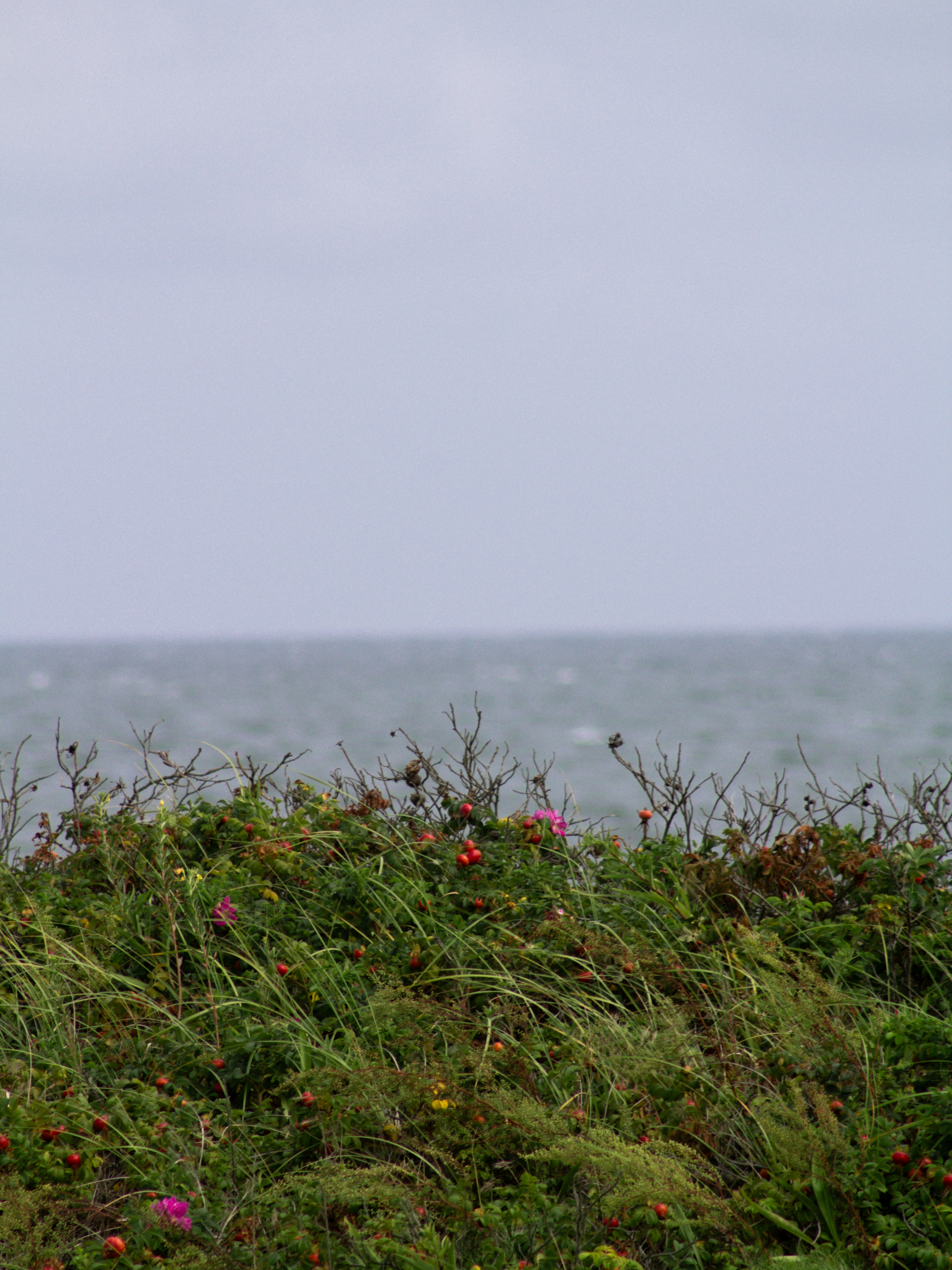 Photo by Charly Seyler with Canon EOS 1200D