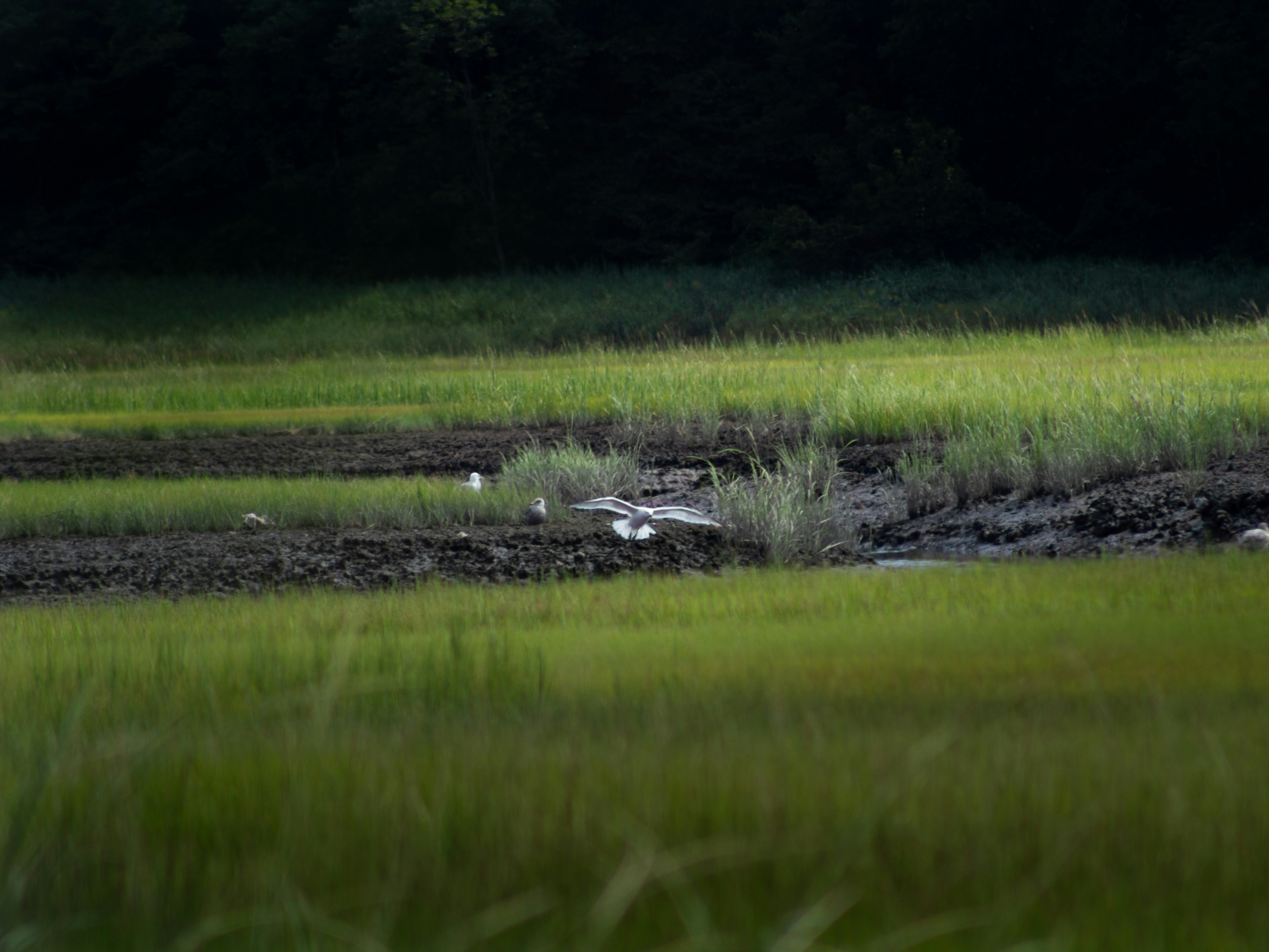 Photo by Charly Seyler with Canon EOS 1200D