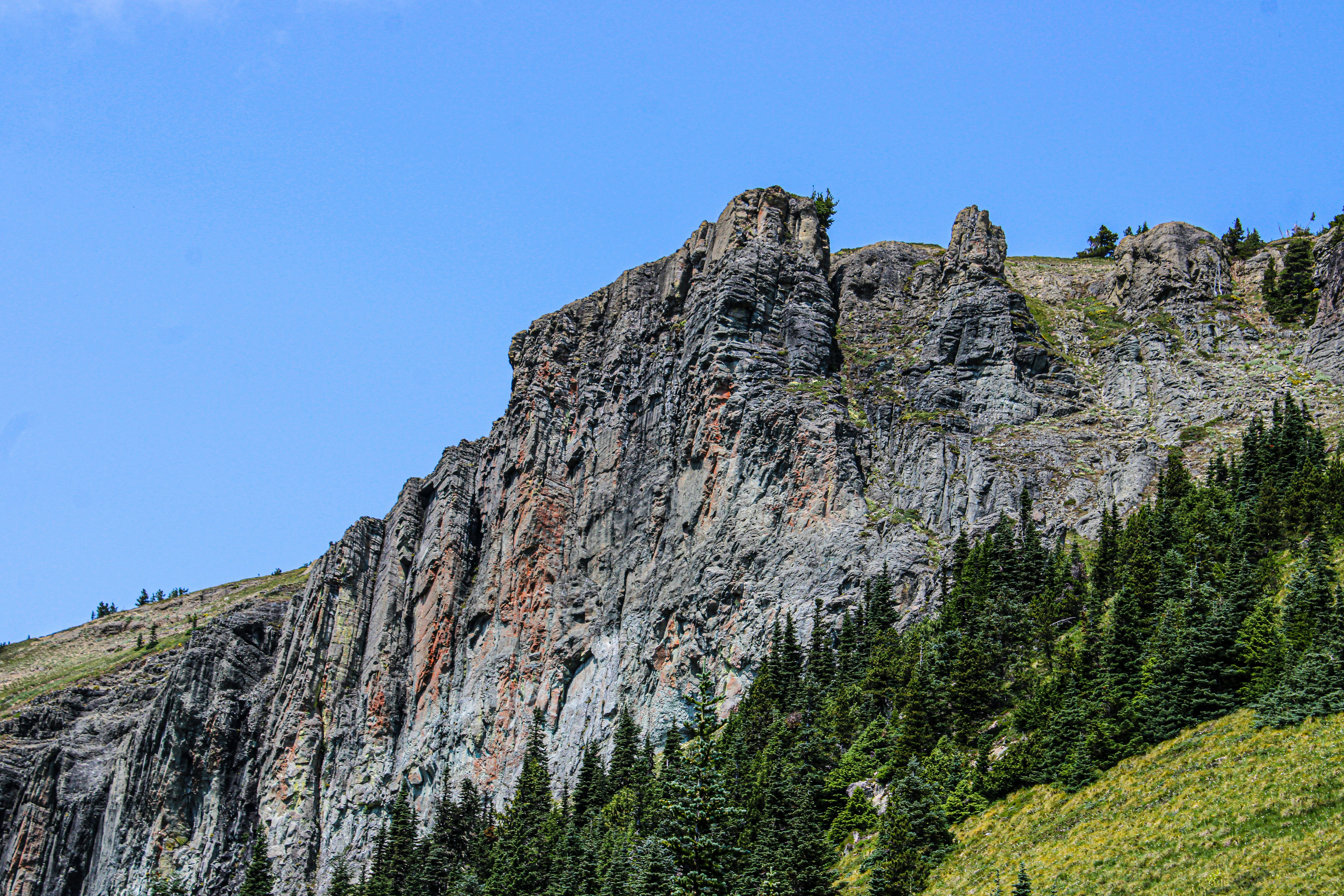 Photo by Peter Robbins with Canon EOS 2000D