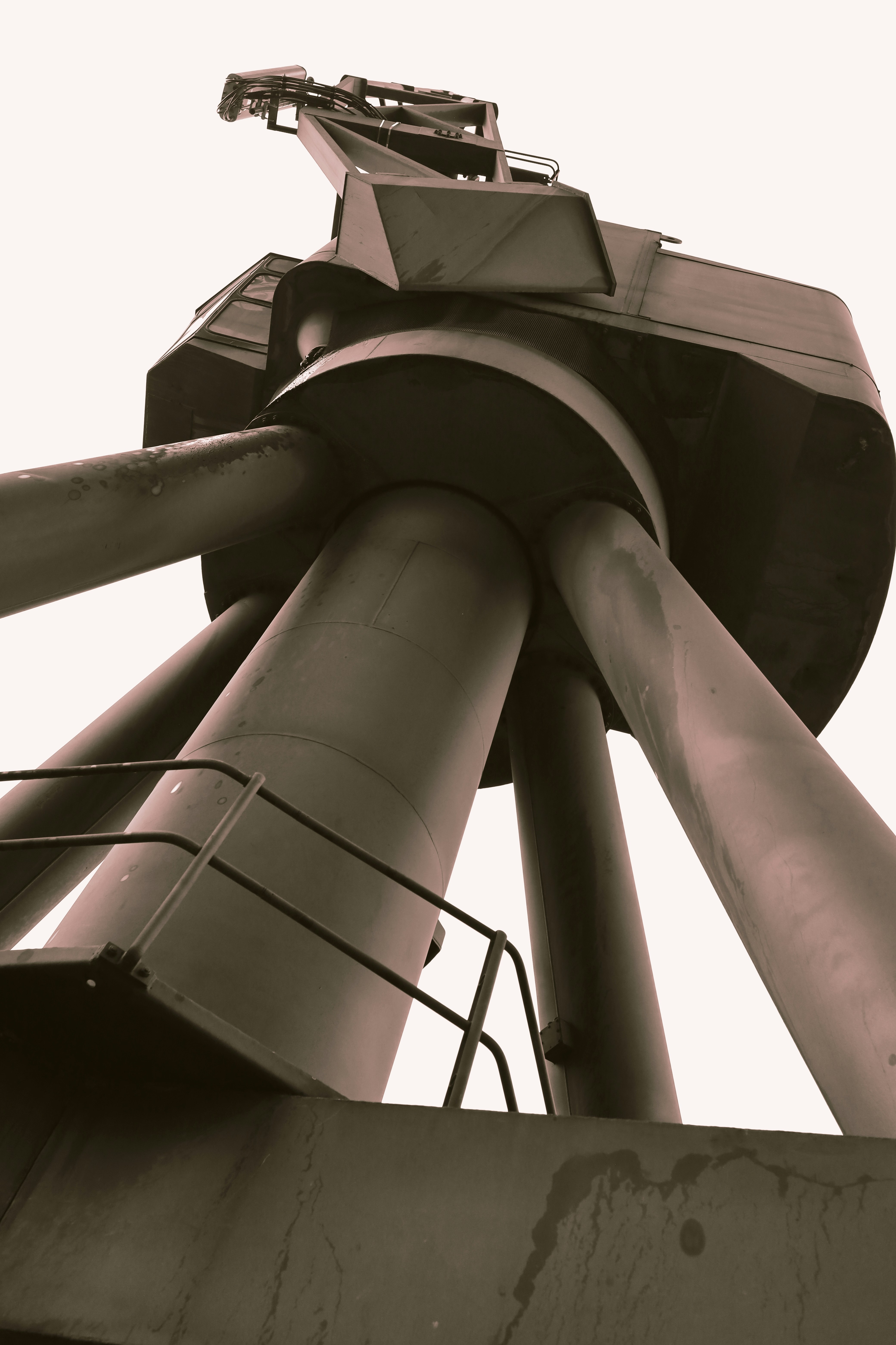 Photo by Kevin Grieve with Canon EOS RP