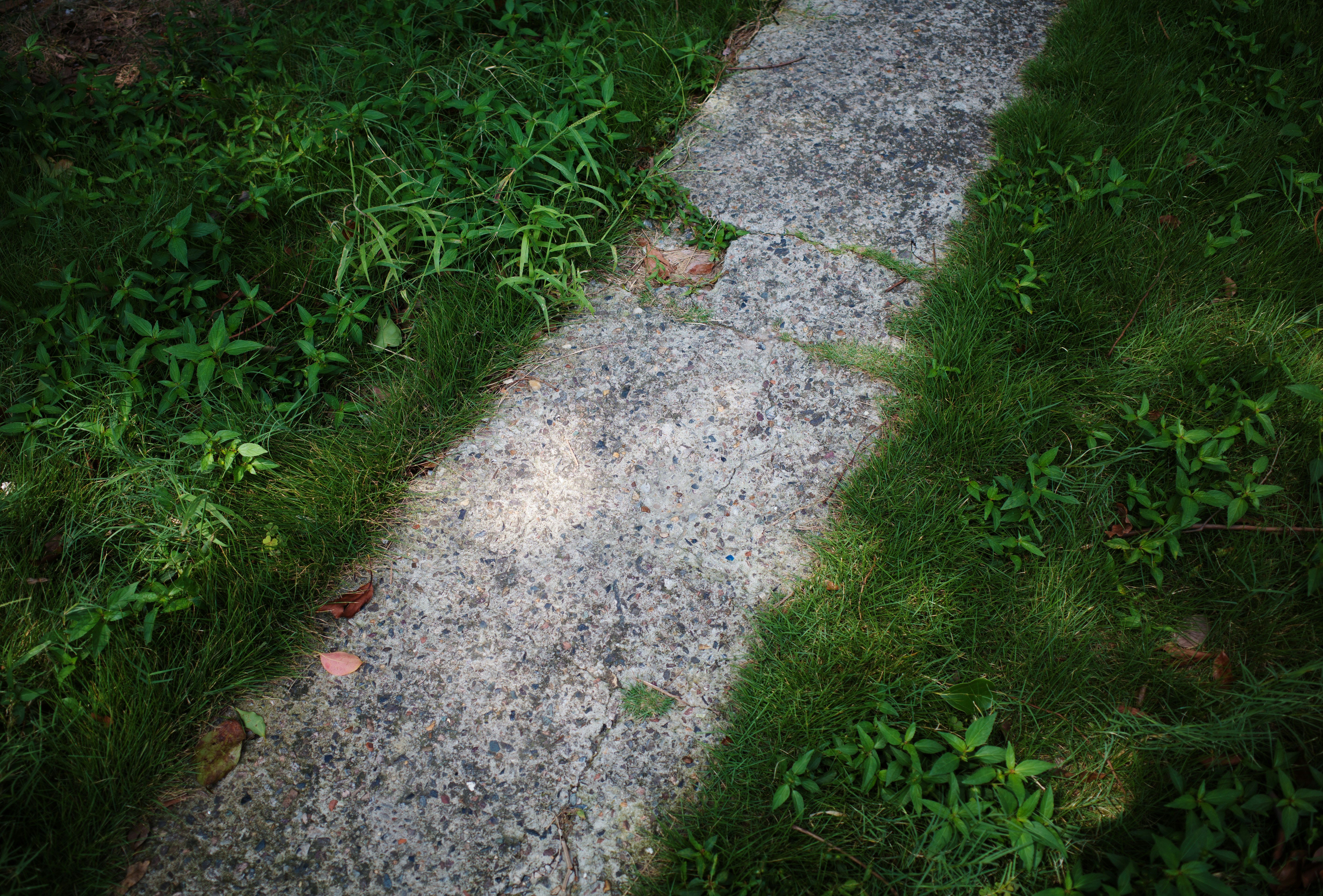 Photo by Declan Sun with Ricoh GR III HDF