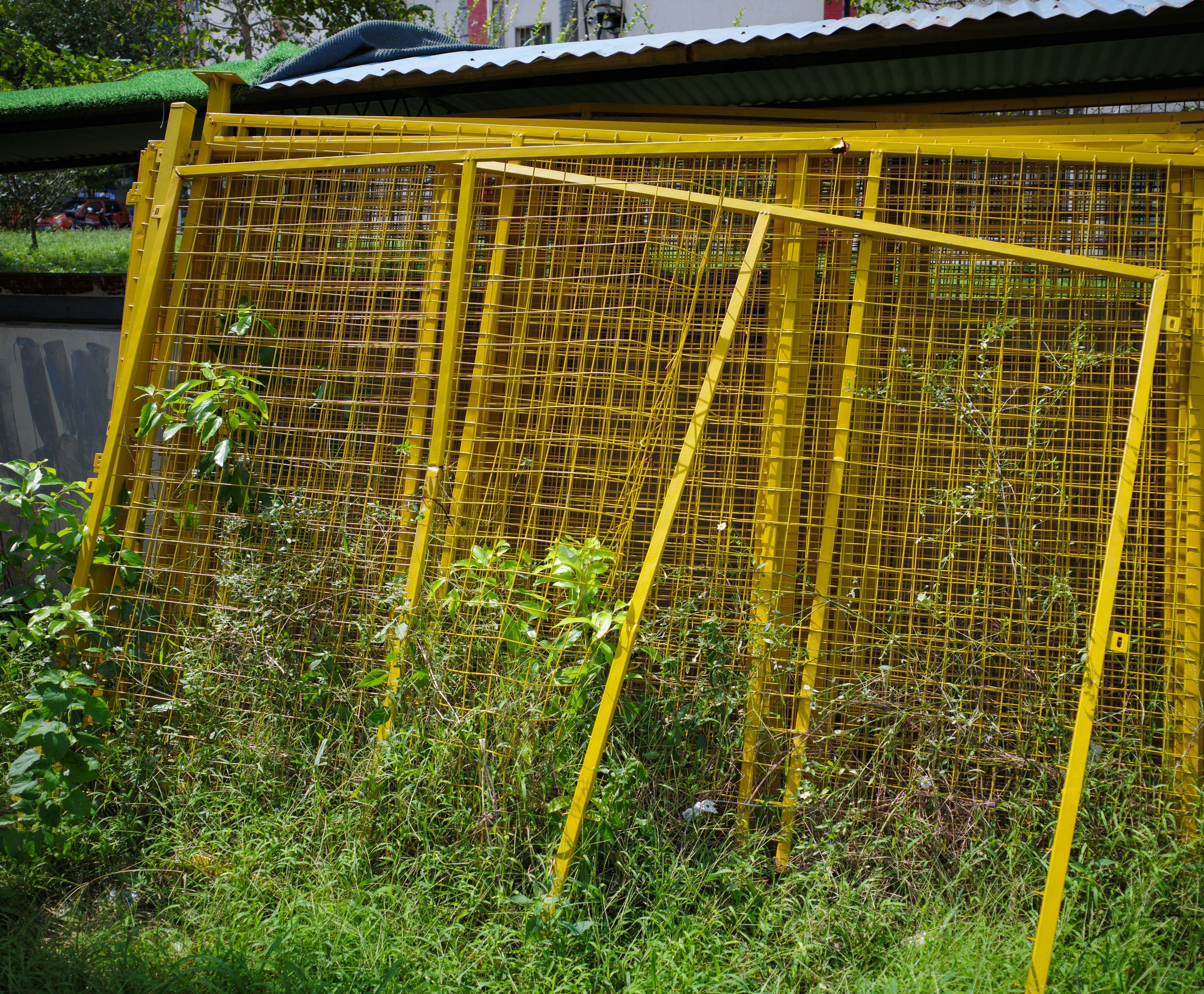 A weathered yellow fence partially collapsed, surrounded by overgrown vegetation, showcasing the intersection of urban structures and nature's reclamation.
