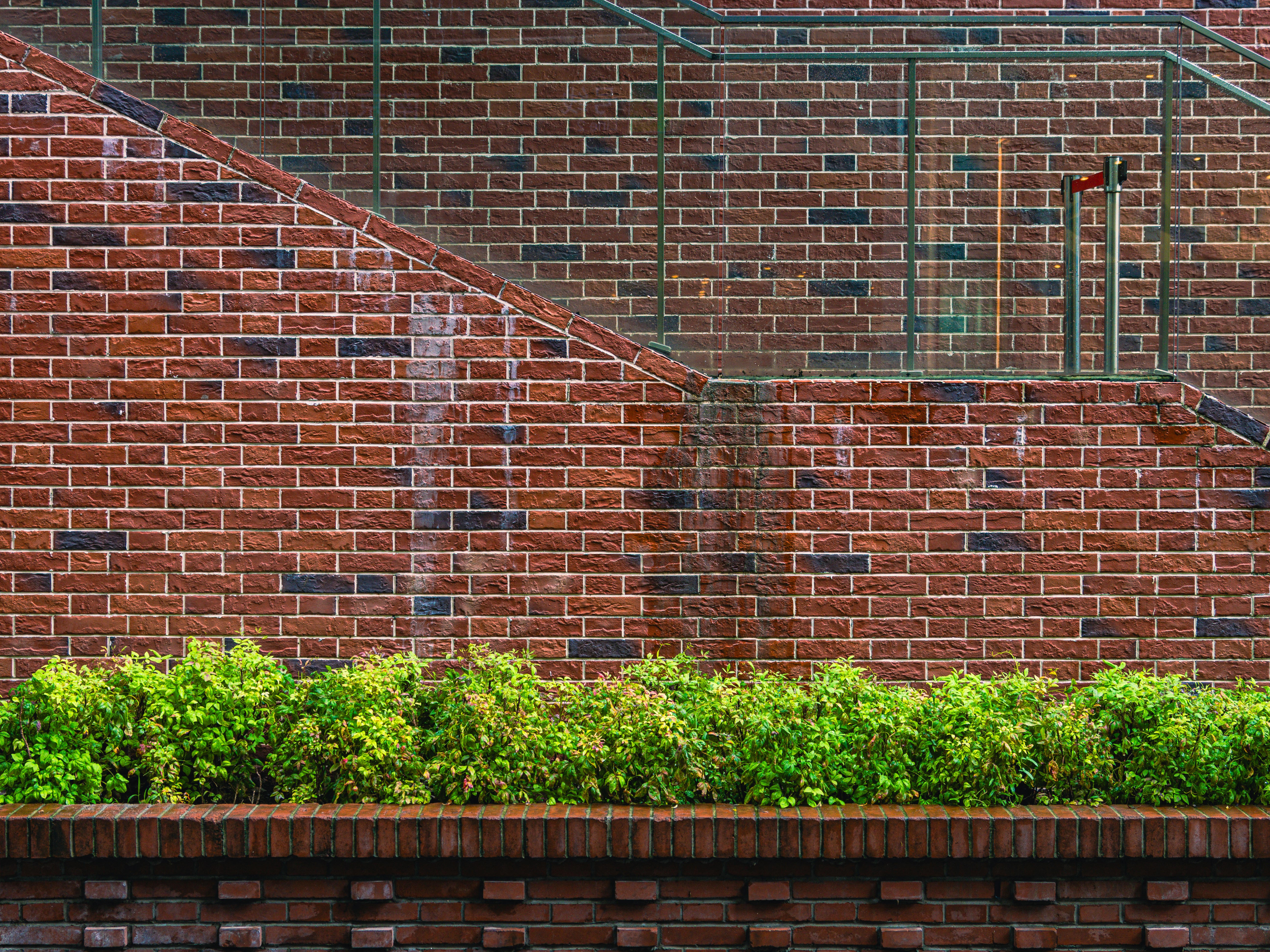 Photo by Declan Sun with OM System OM-1 Mark II