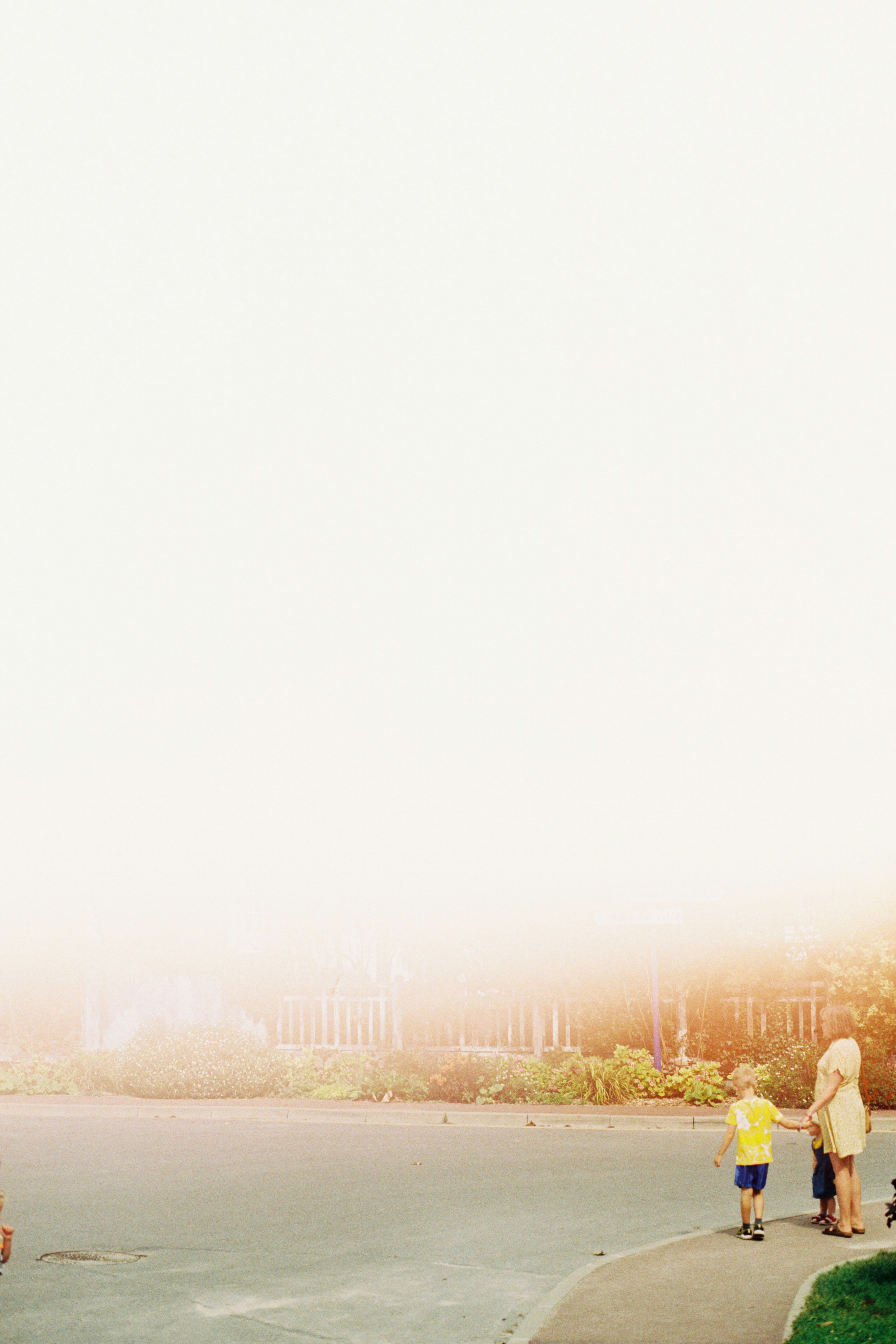 A child and an adult walk hand in hand along a sunlit path, surrounded by a soft blur of greenery and light. The scene evokes a sense of warmth and companionship.