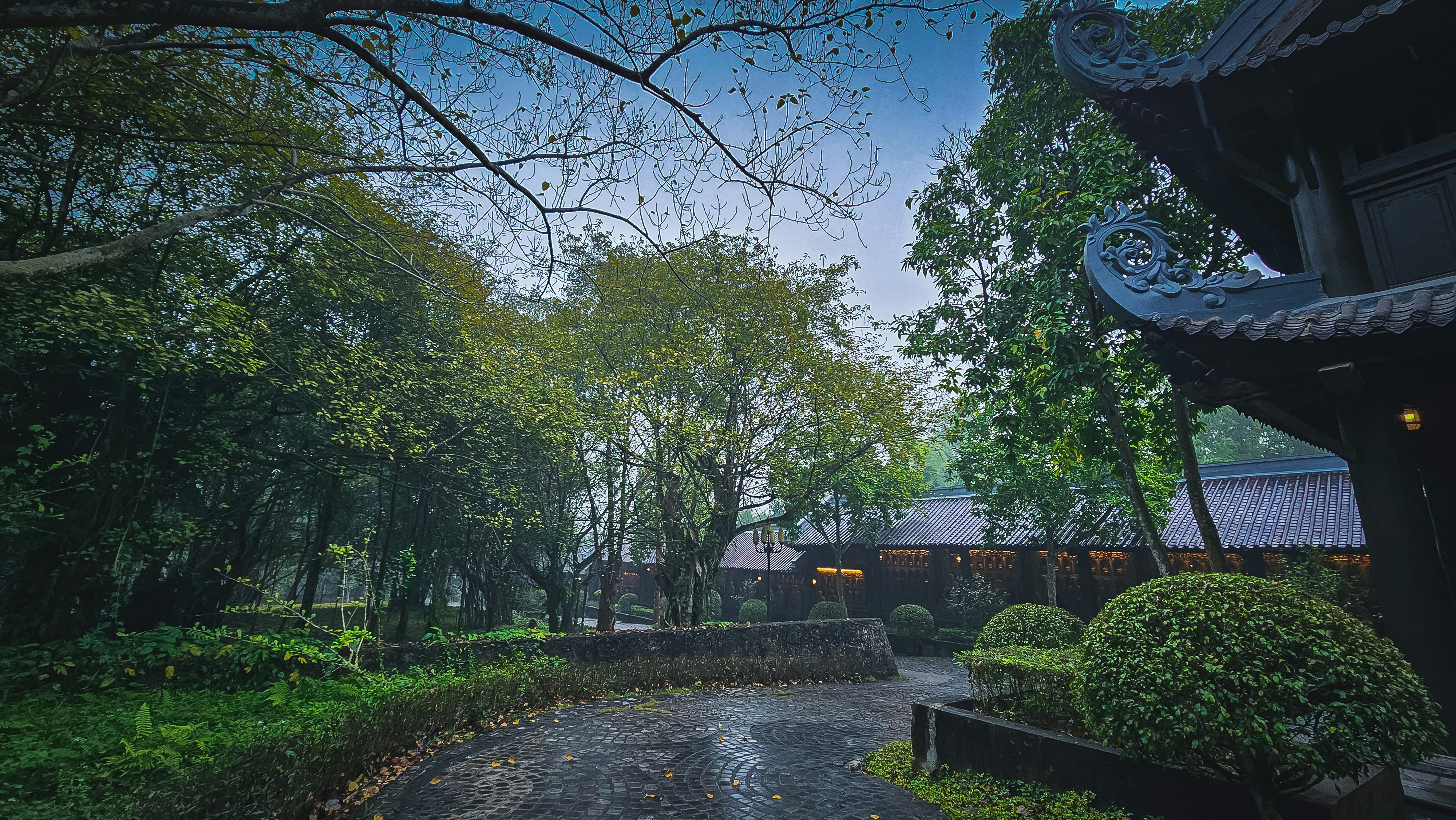 A picture of a park with a lot of trees photo – Free Bai dinh pagoda ...
