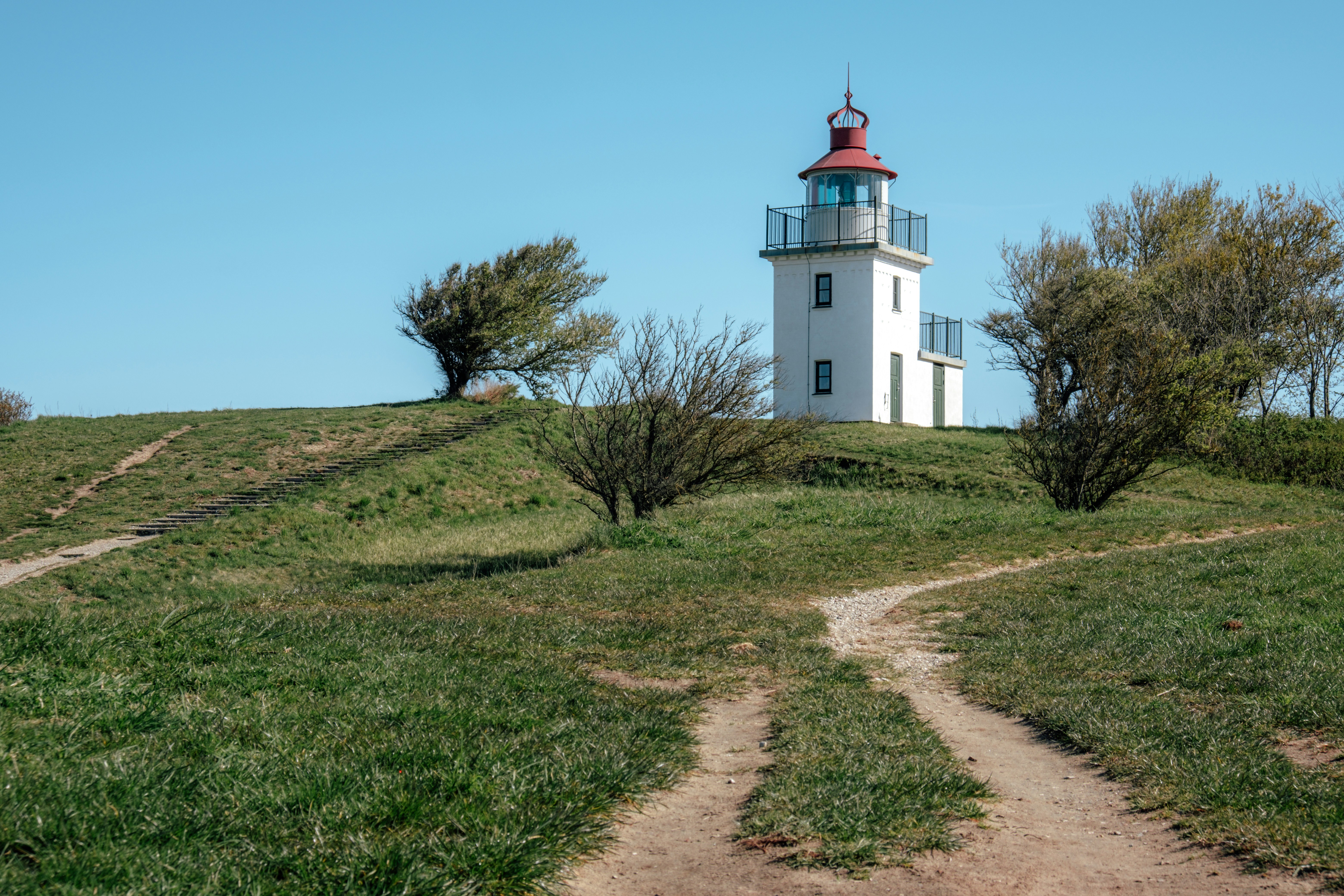 Beacon on the Hill: a coastal lighthouse framed by winding paths and wind-swept trees