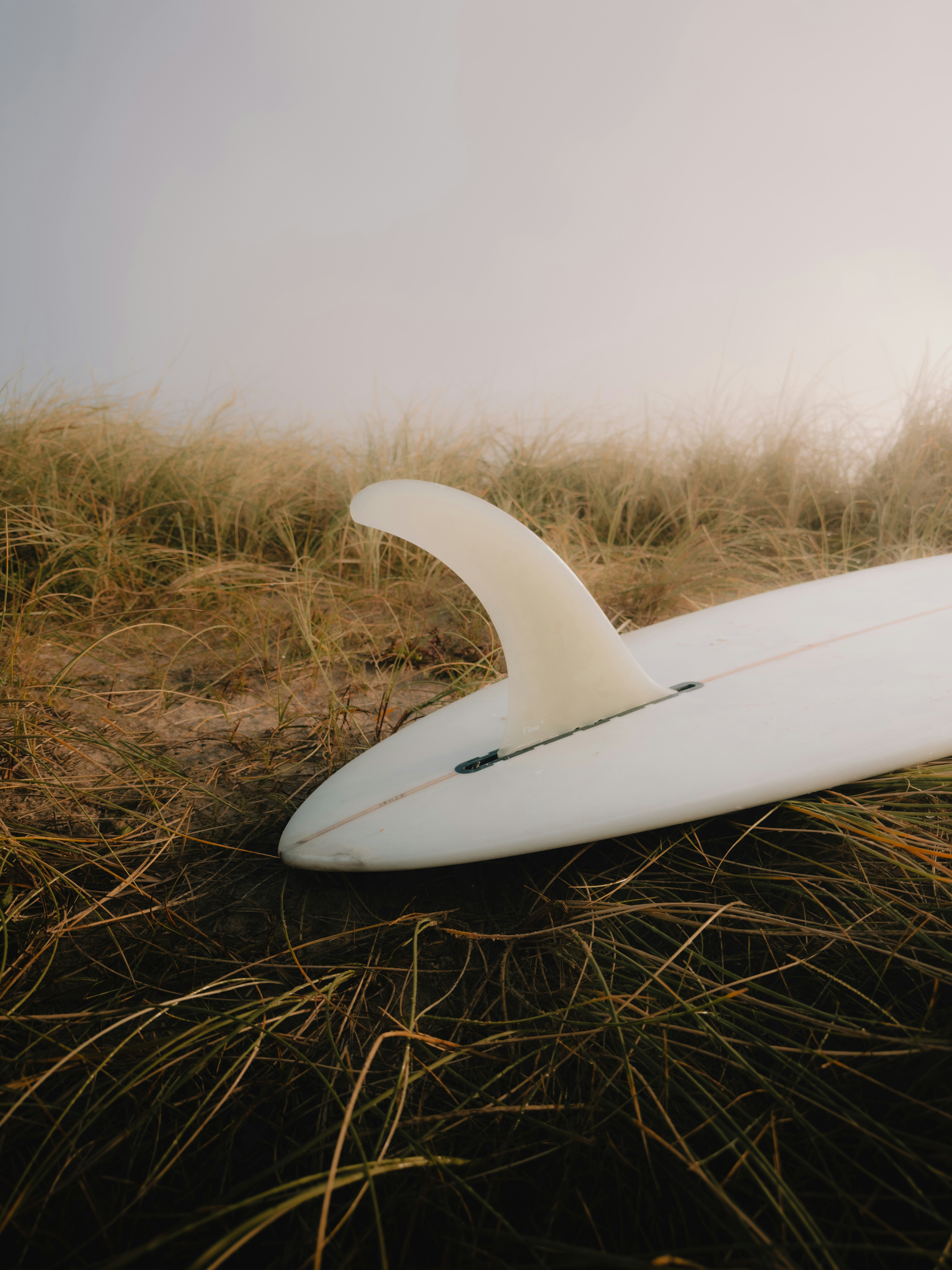 A white surfboard laying on top of a dry grass field photo – Free ...