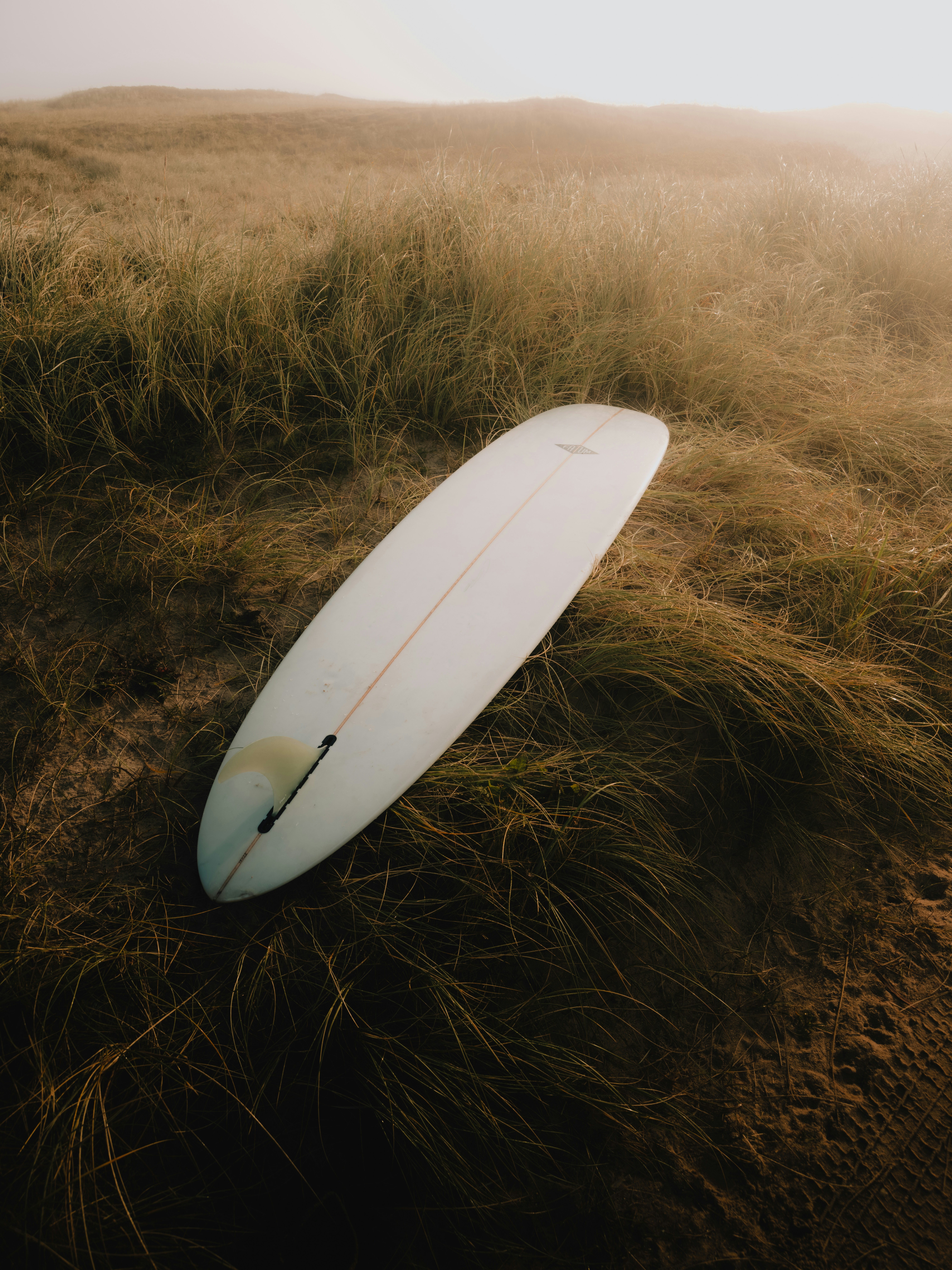 Sunrise Glide: A Surfboard Resting Among Golden Grasses
