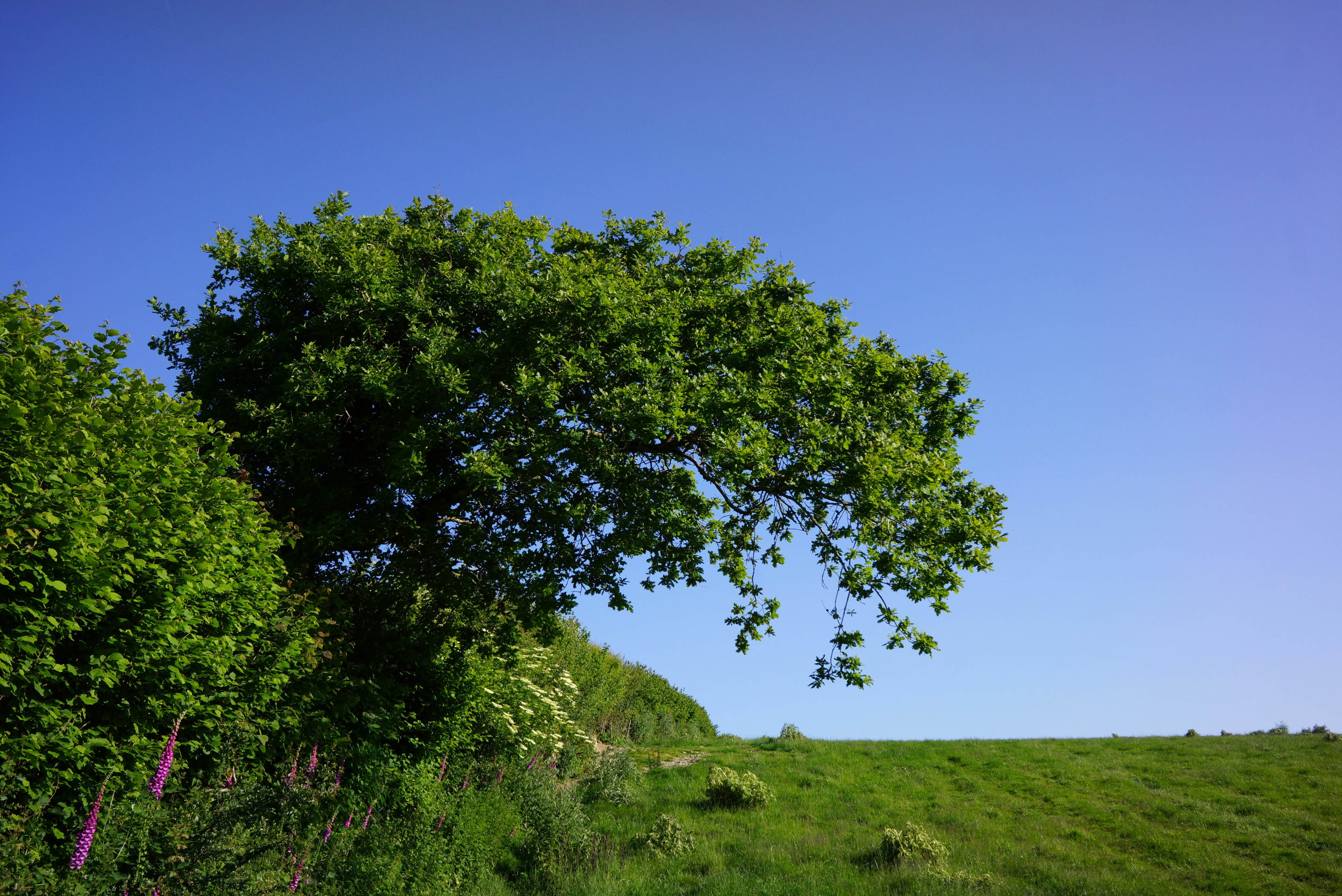 Peter Blake (@as_it_is) | Comunidade de fotos da Unsplash