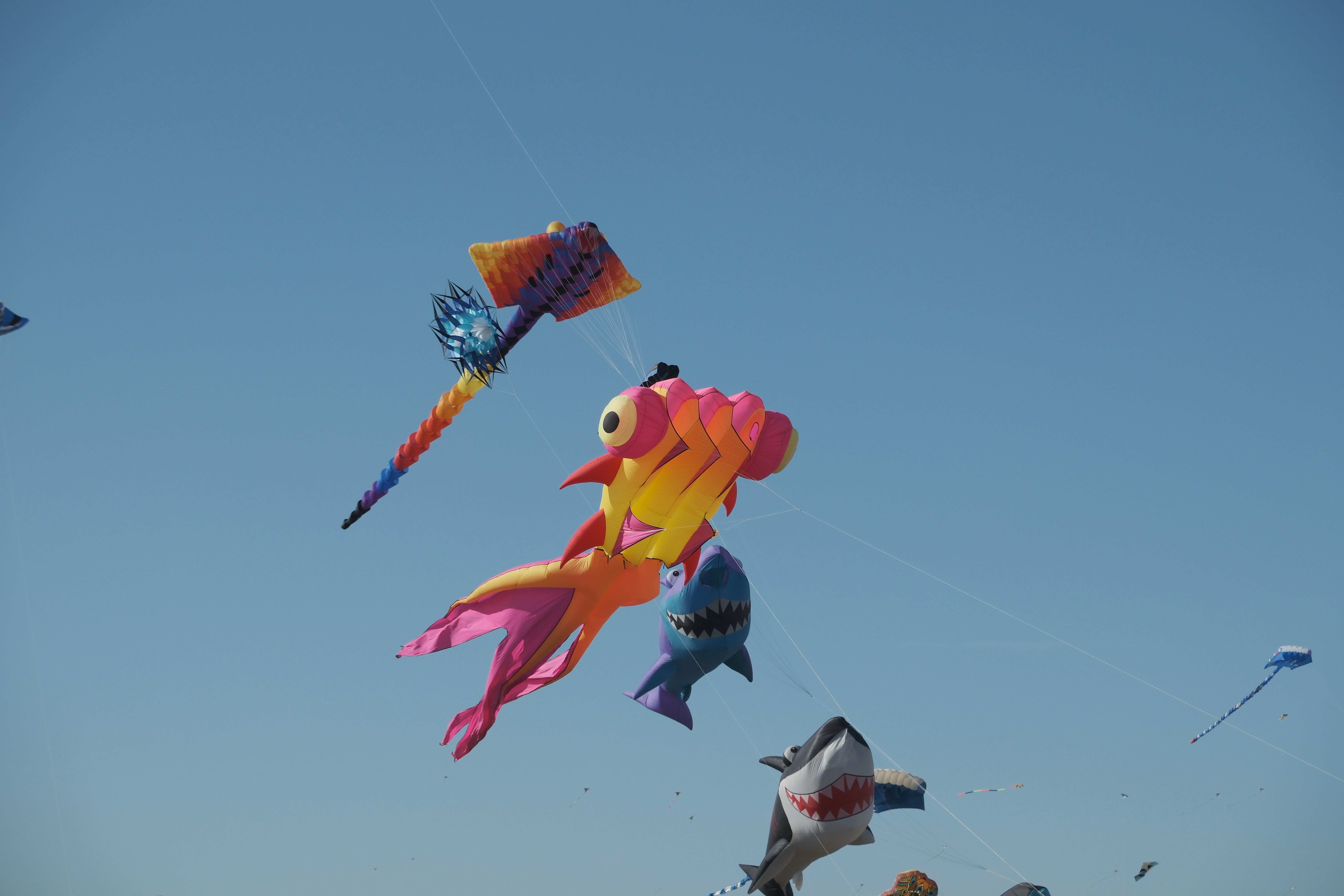 Un grupo de personas volando cometas en el cielo foto – Imagen de Azul ...