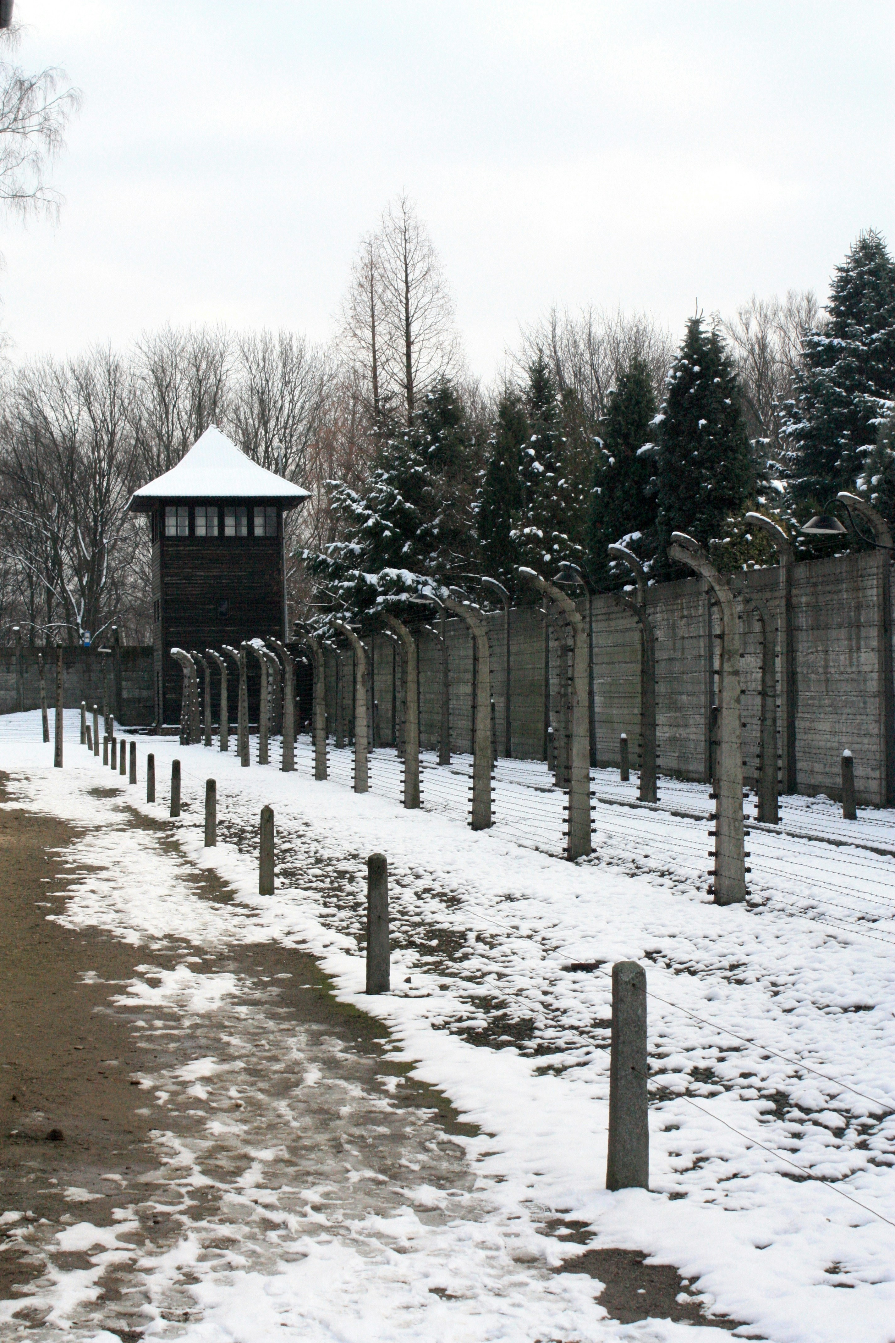 Photo by Julia Taubitz with Canon EOS 450D