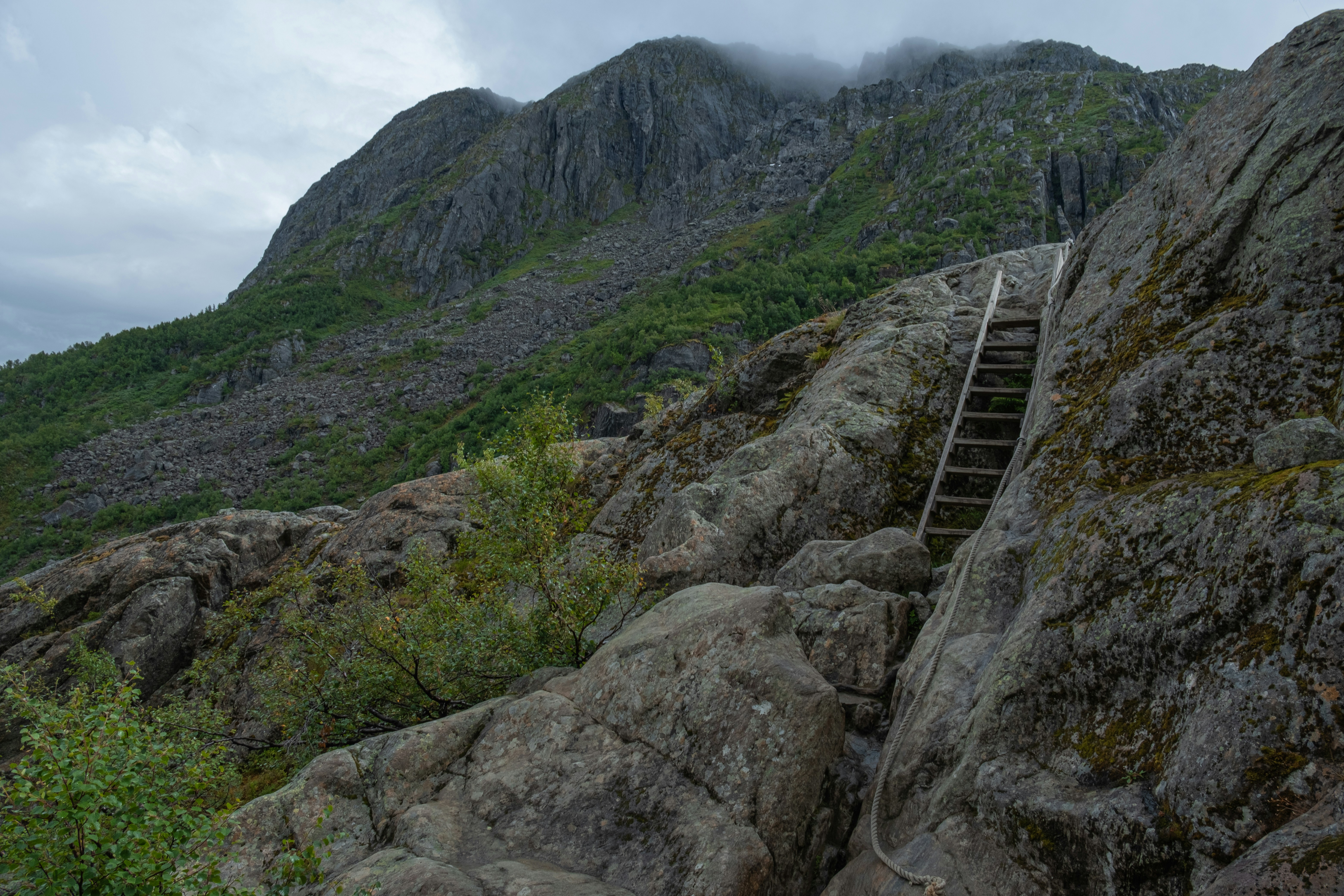 Rugged Ascent: A Weathered Ladder Clinging to Granite Peaks