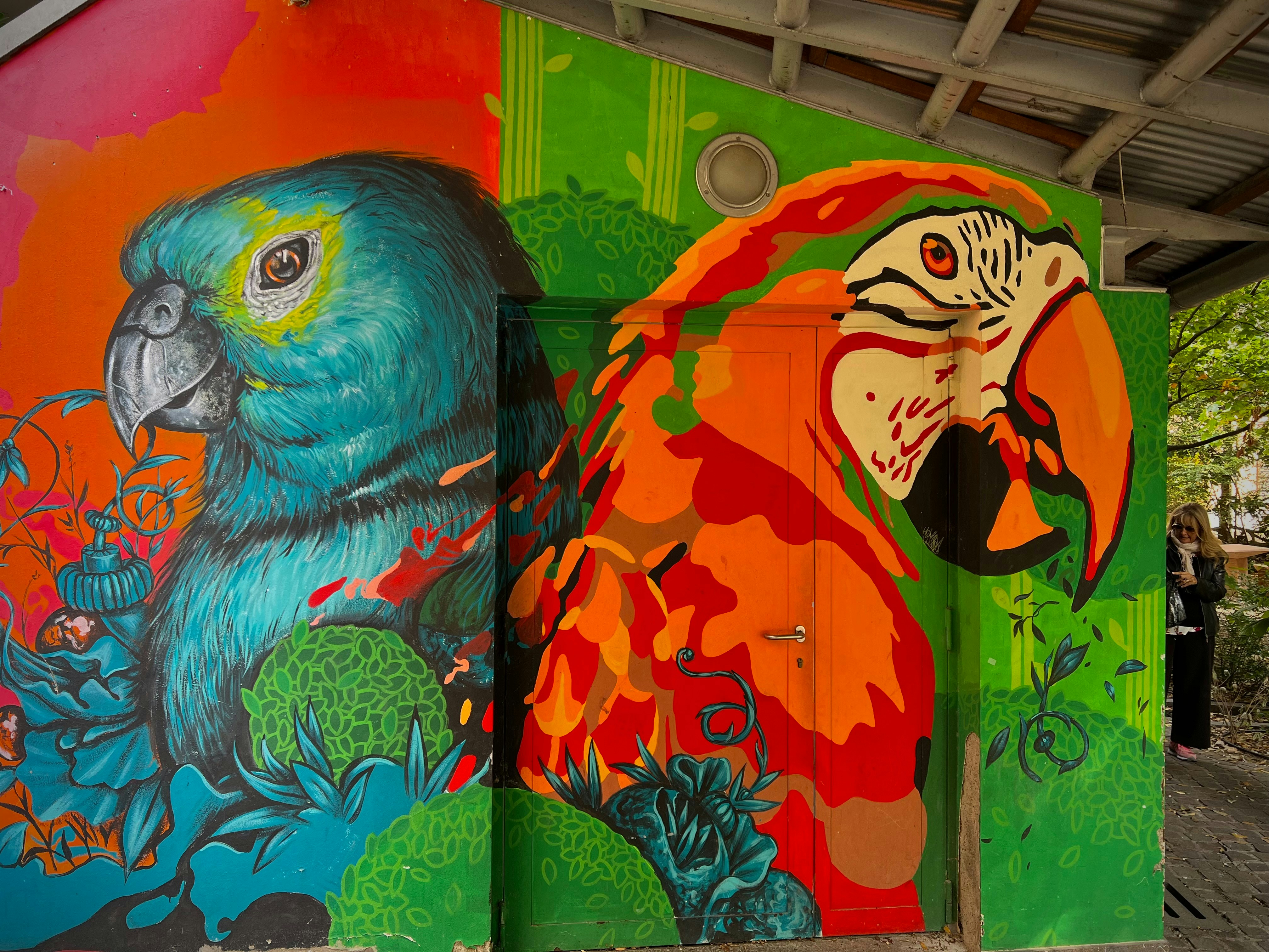 A colorful mural of a parrot and a parrot bird photo – Free Woman Image ...
